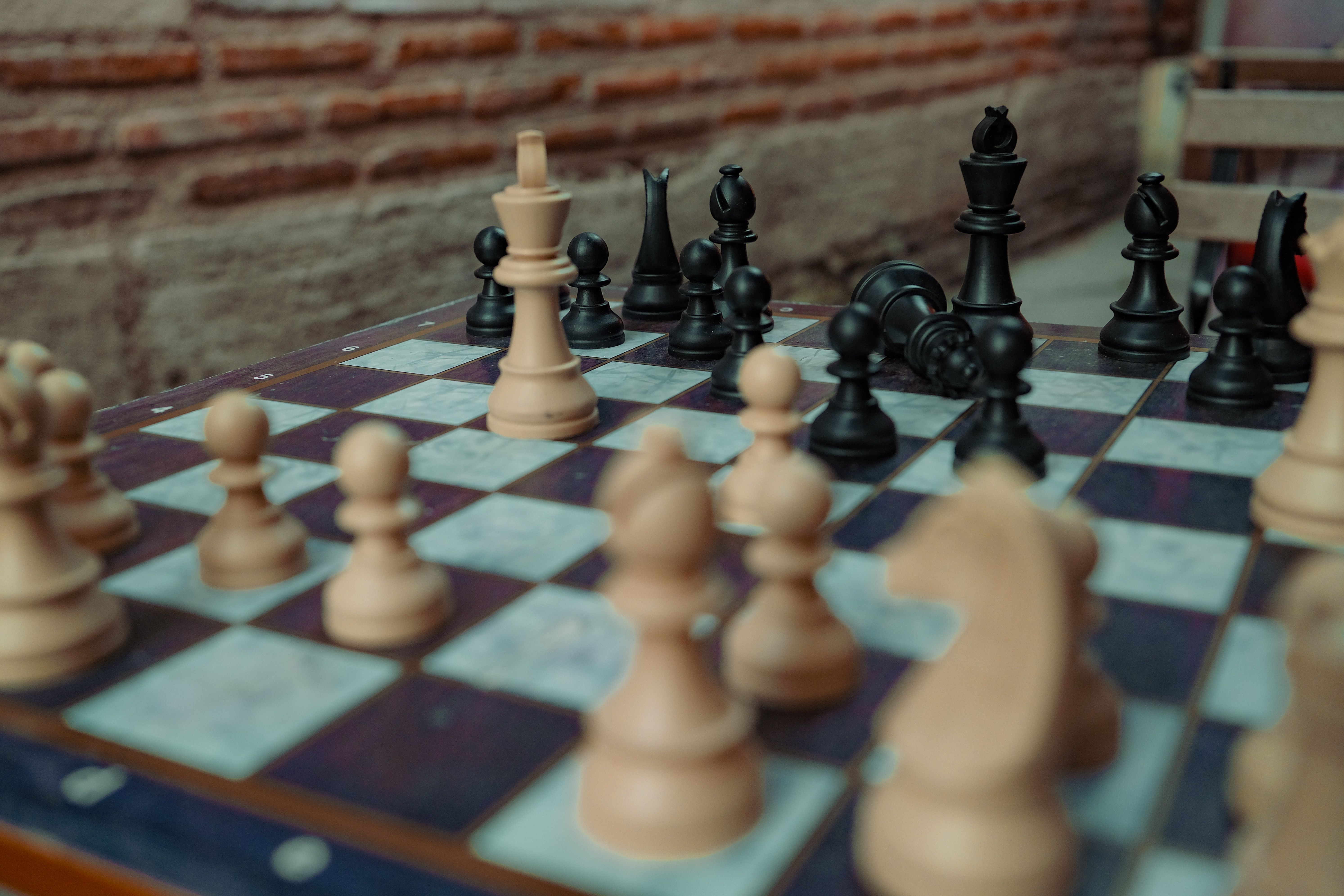 Chess Pieces on the Board · Free Stock Photo