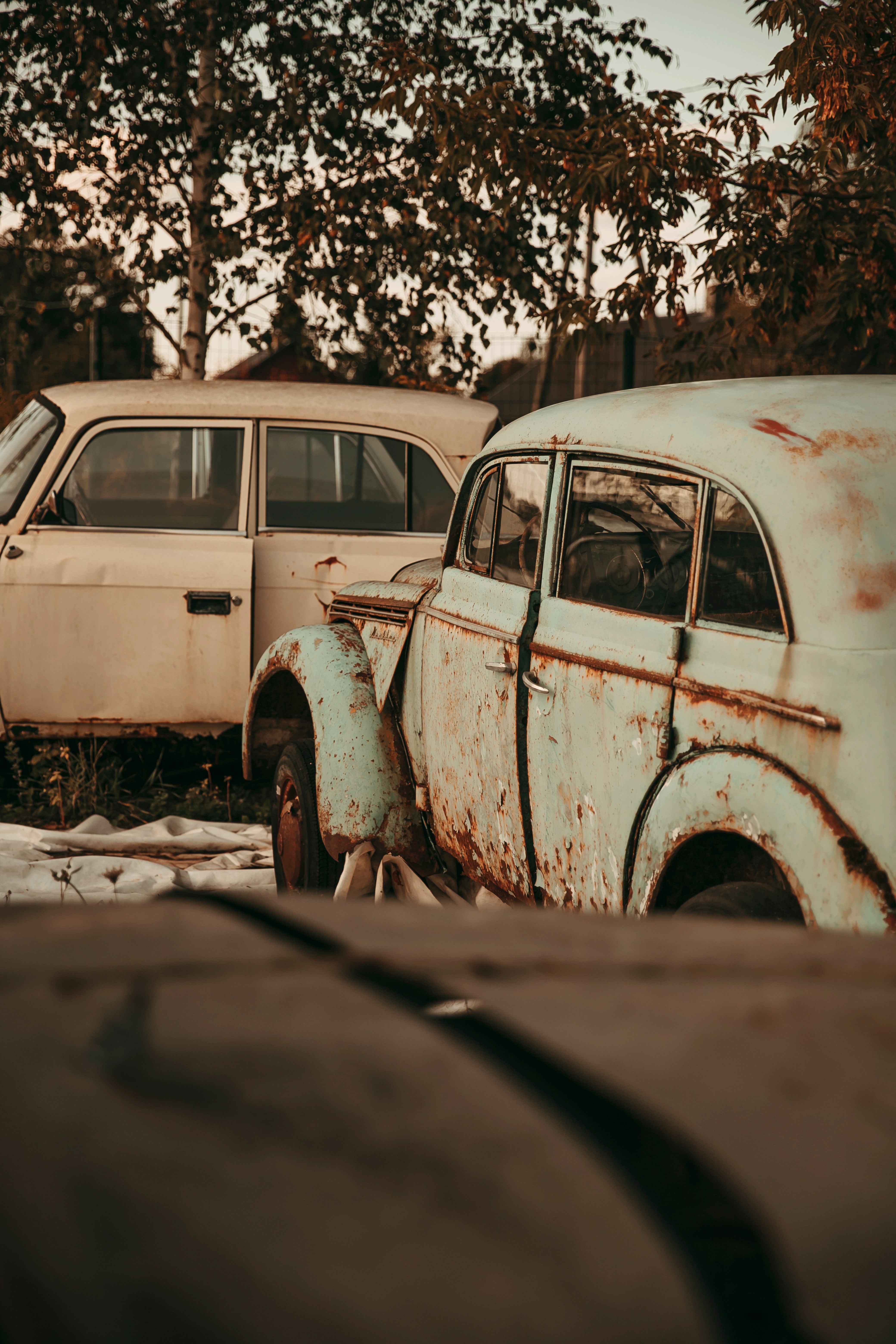 Rusty Cars Wrecks · Free Stock Photo