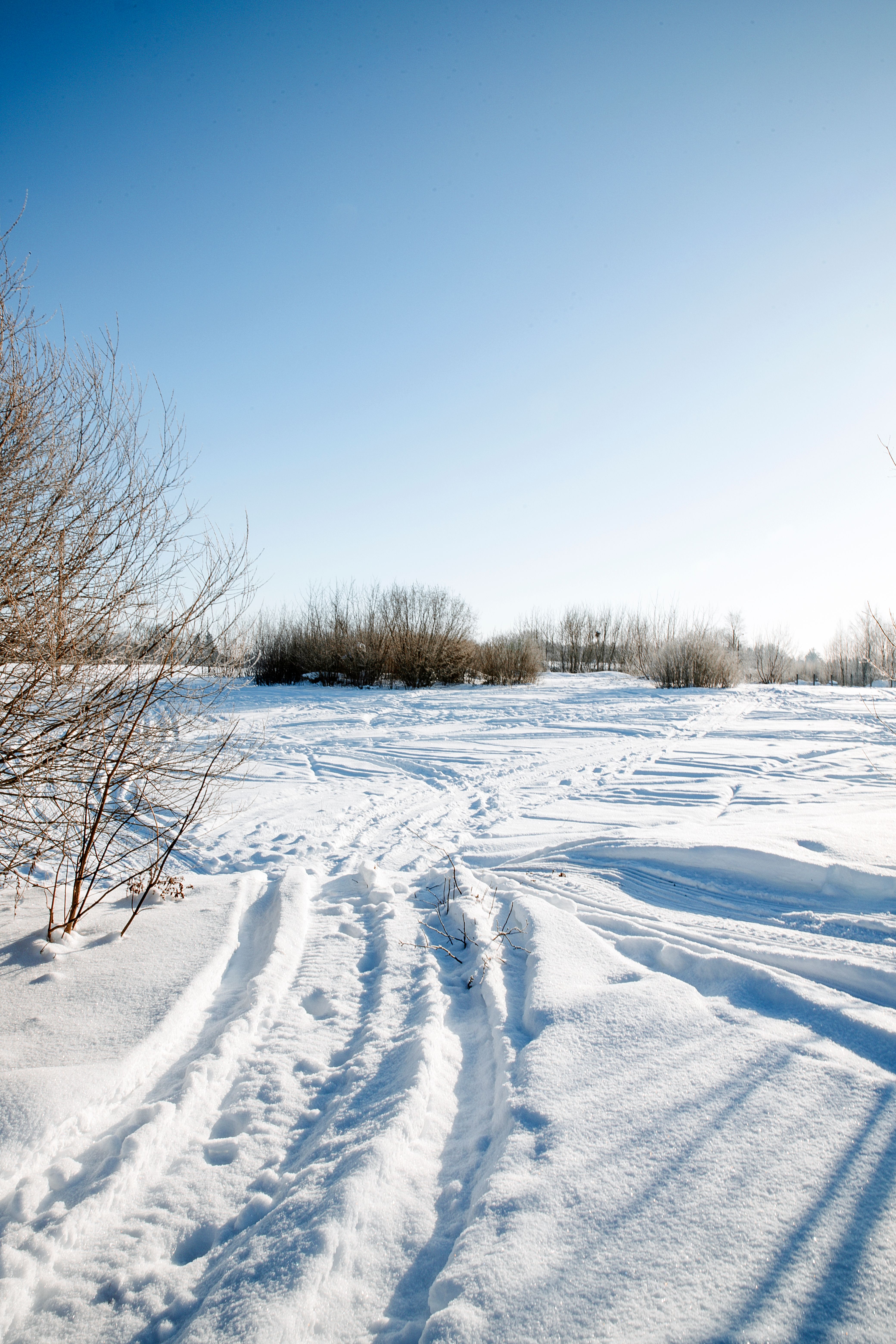 A Snowy Field under a Clear Sky · Free Stock Photo