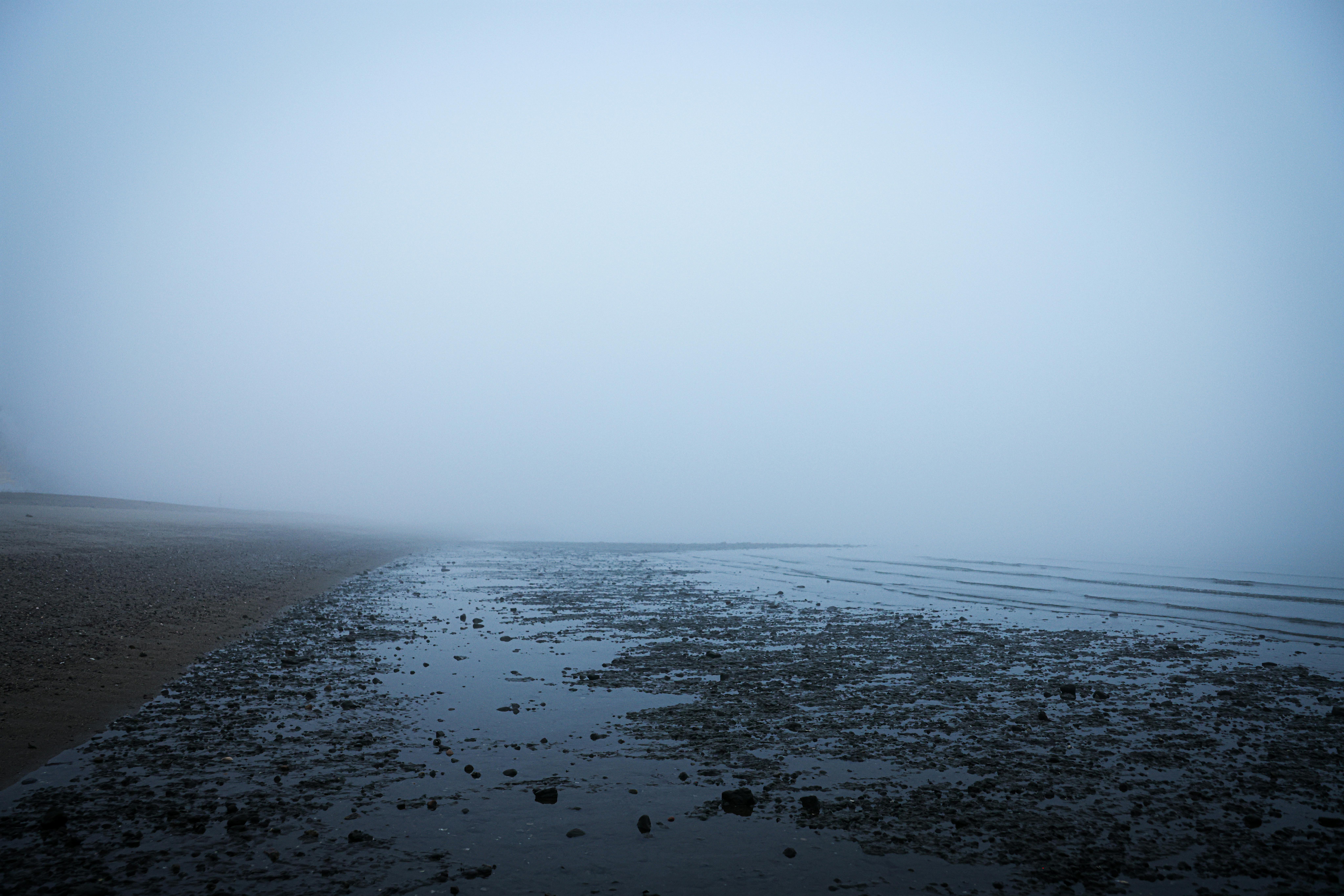 Beach in Fog · Free Stock Photo