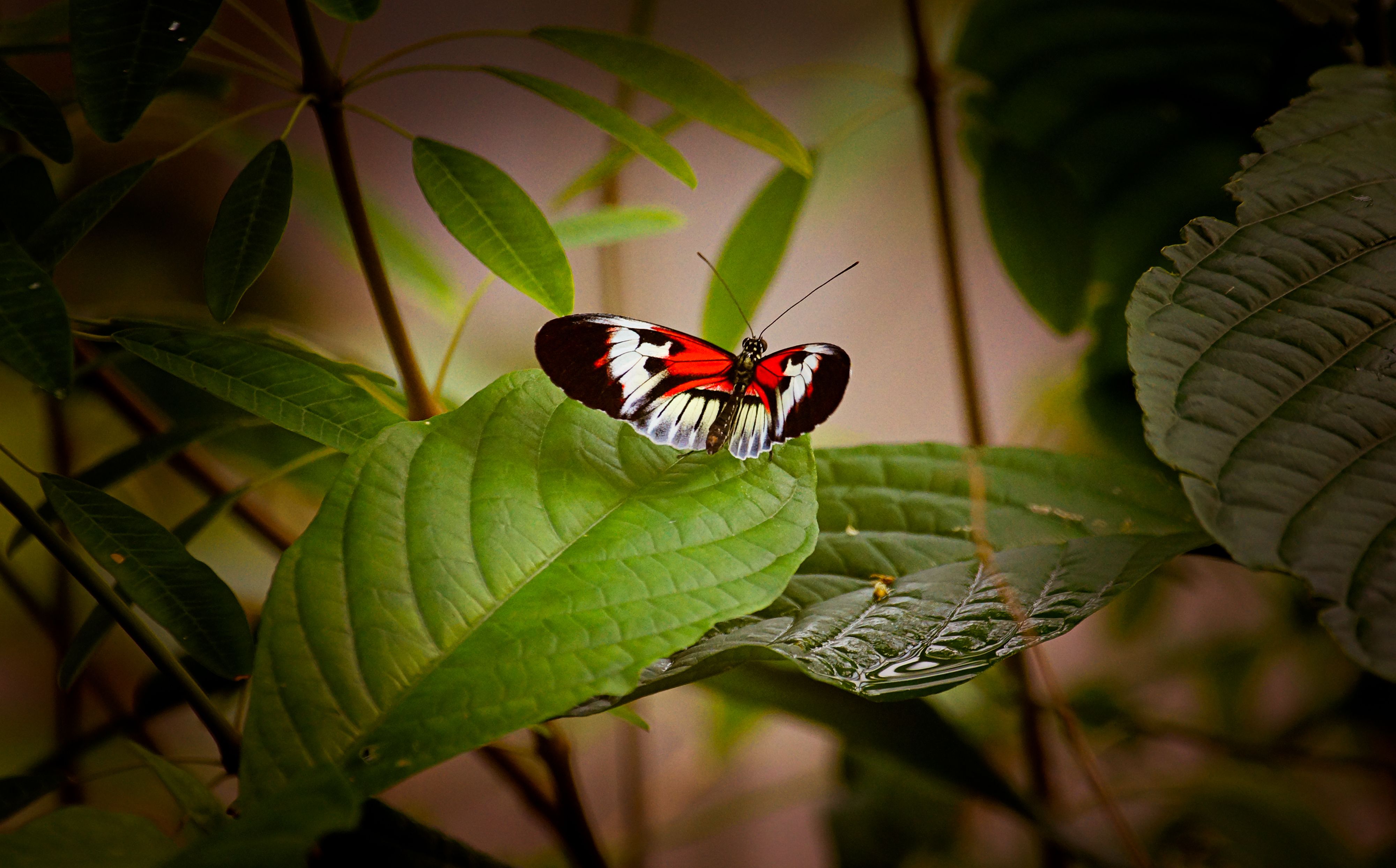 Motivation Animated Wallpaper Photos, Download The BEST Free Motivation ...