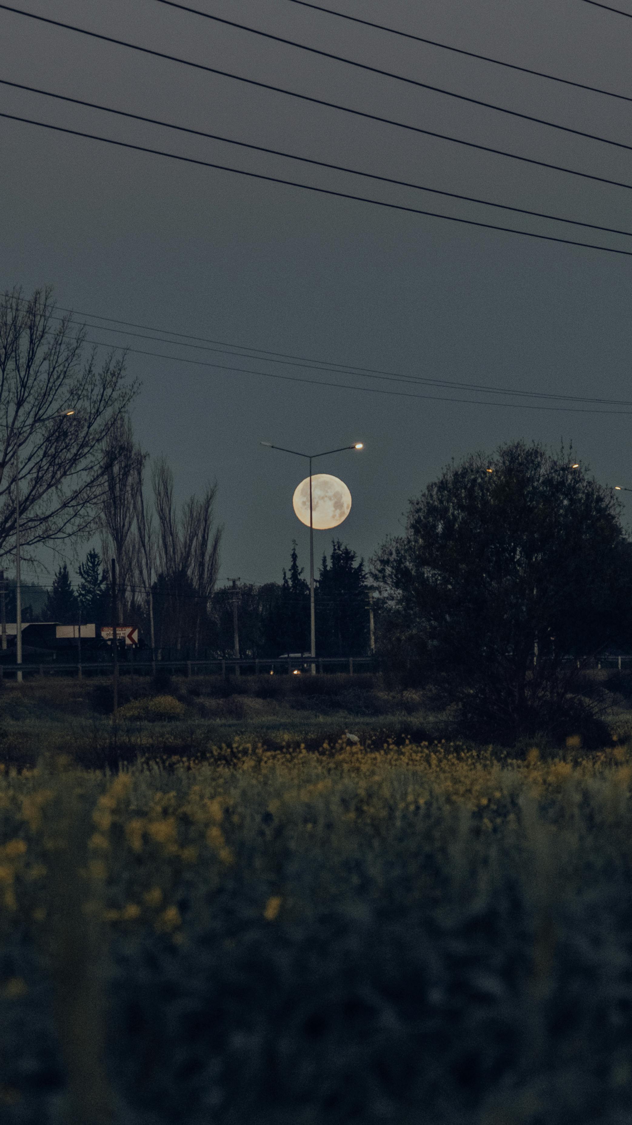 Moon Sight Photos, Download The BEST Free Moon Sight Stock Photos & HD ...