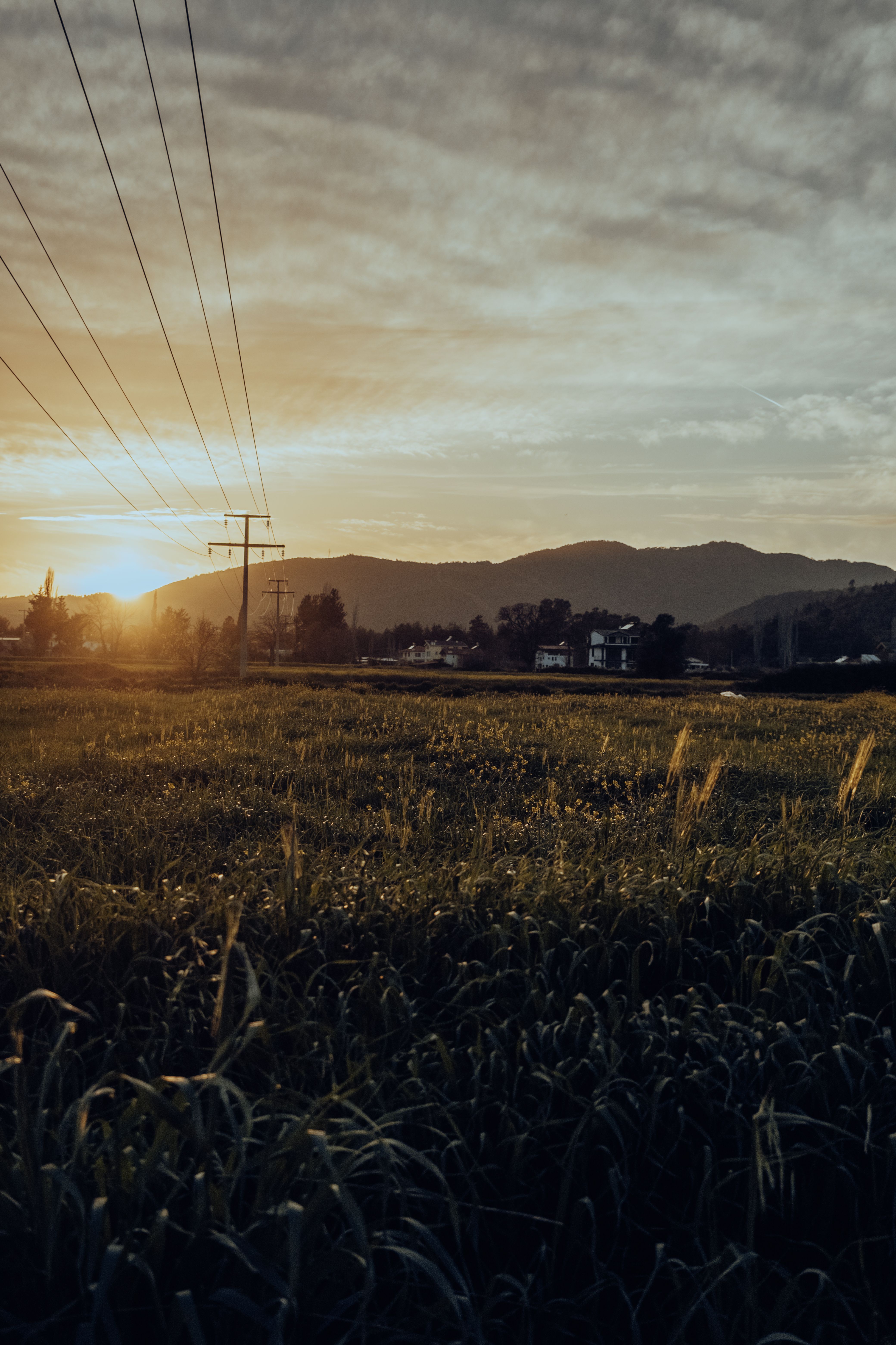 Field in Countryside at Dawn · Free Stock Photo
