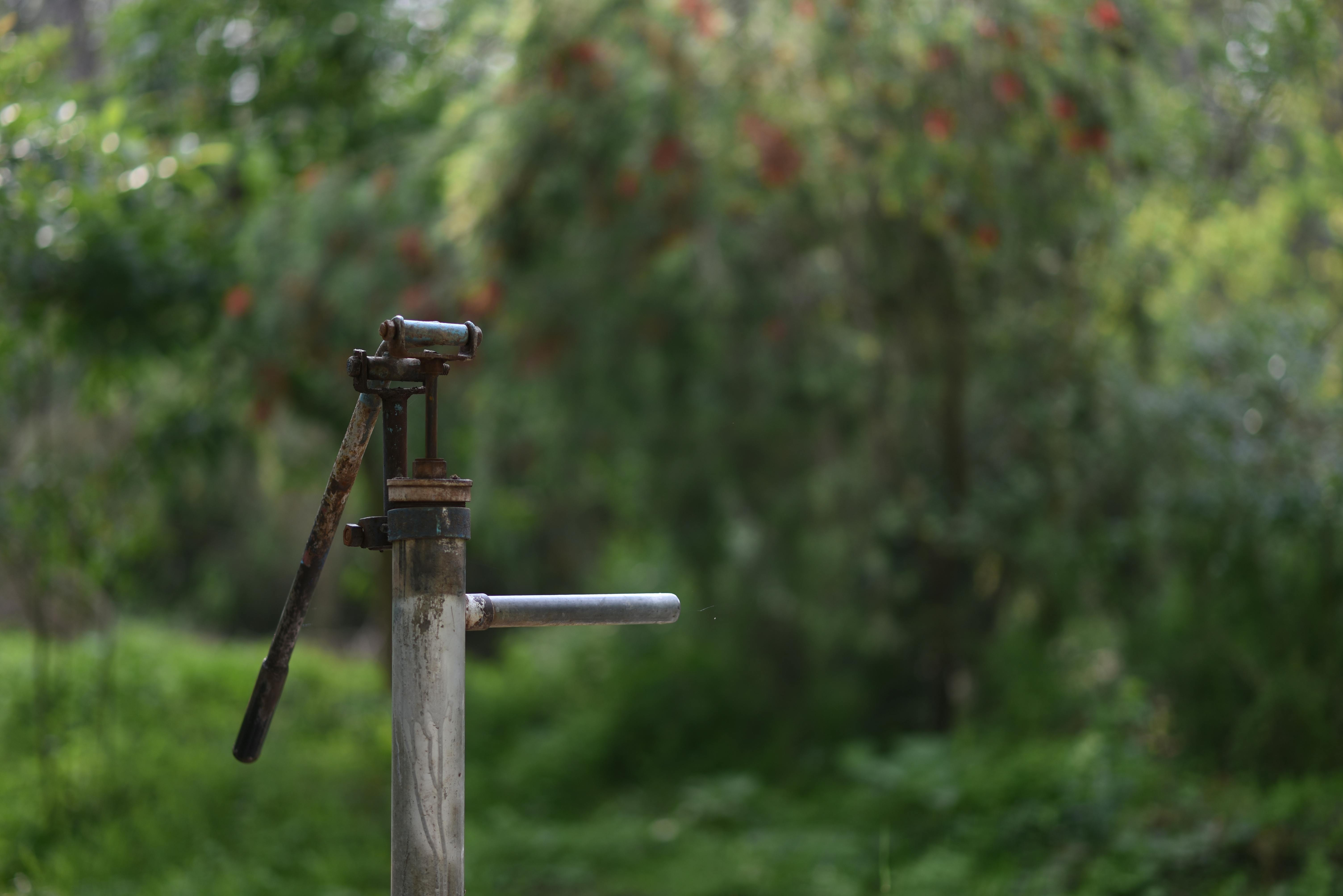 Garden Faucet Photos, Download The BEST Free Garden Faucet Stock Photos ...