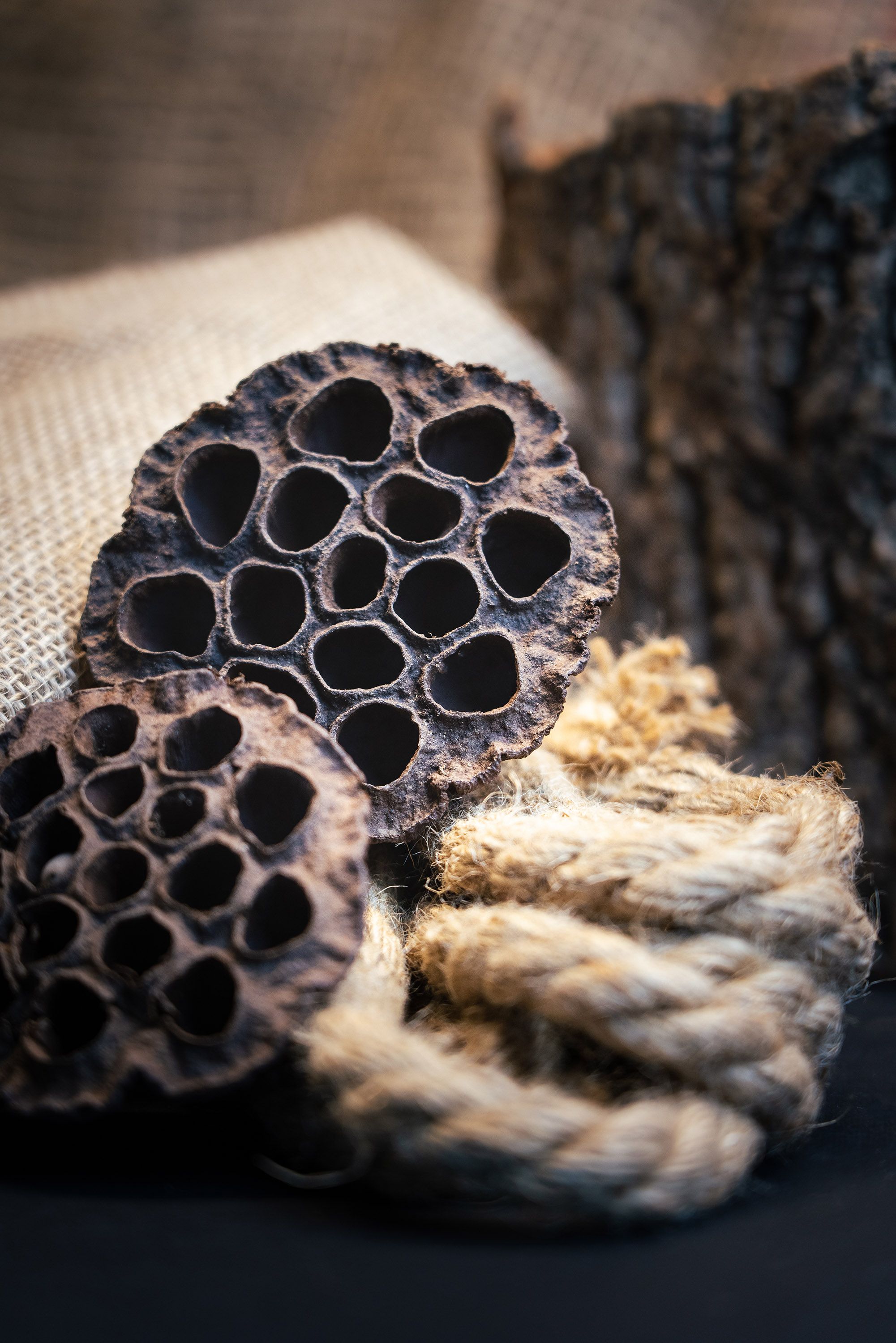 Texture Cork Photos, Download The BEST Free Texture Cork Stock Photos ...