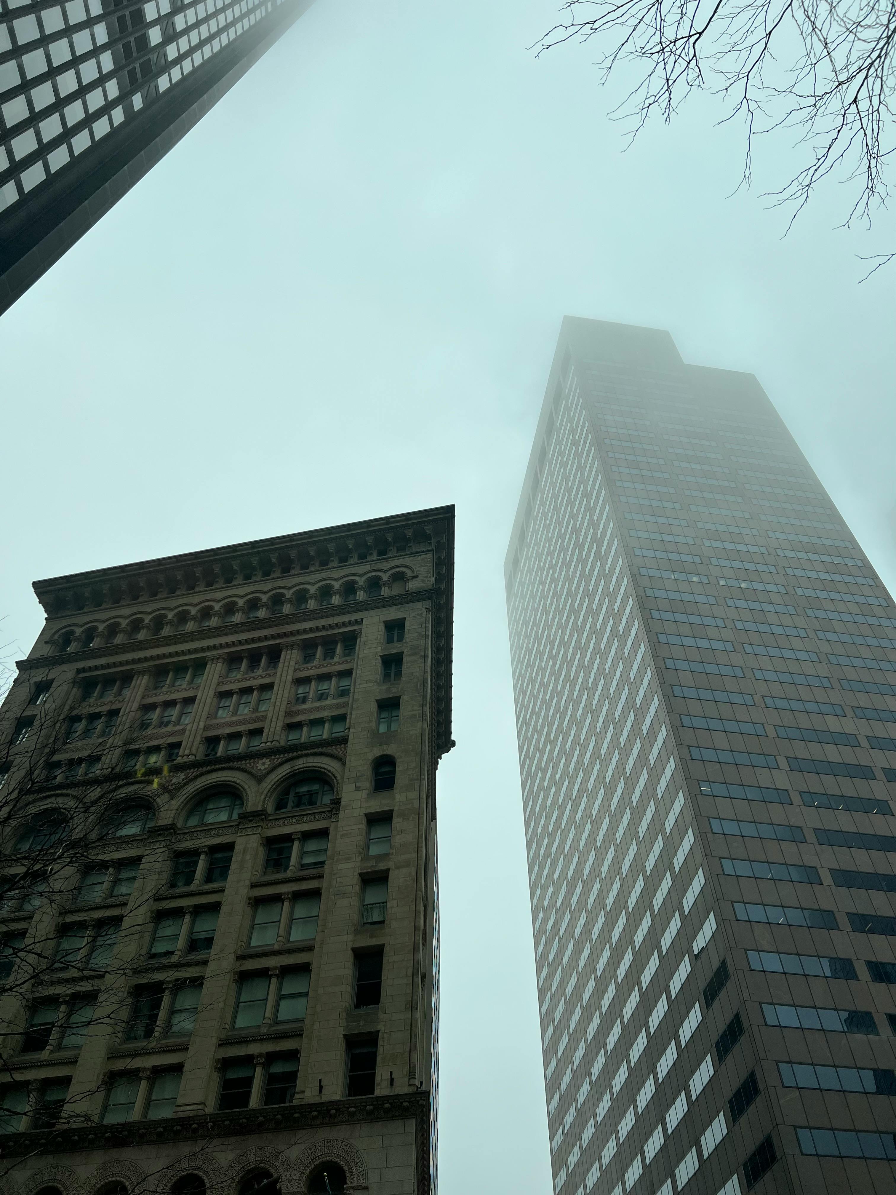 Gray High Rise Buildings · Free Stock Photo