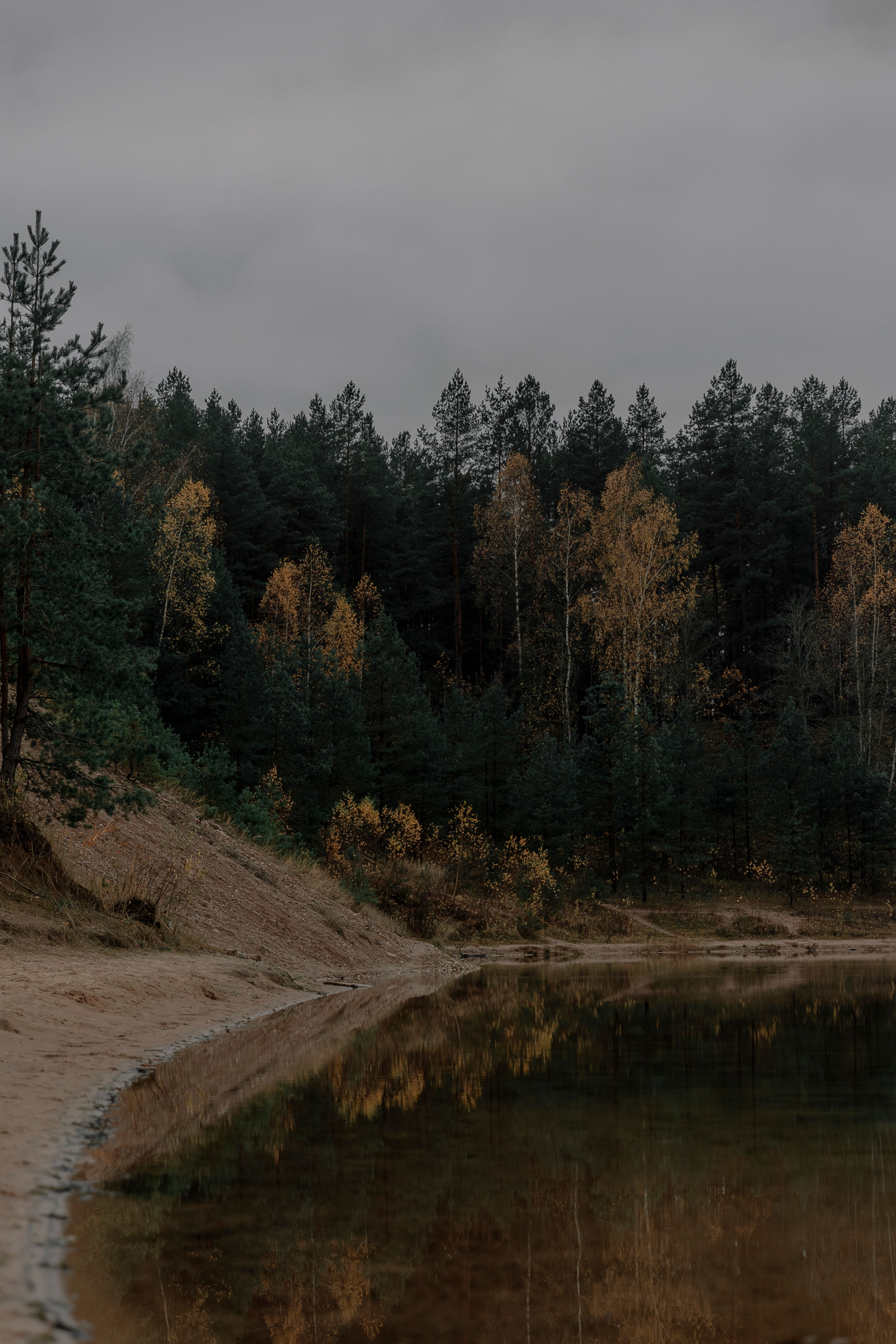 Sand Slope Leading to Beach on Lake Shore · Free Stock Photo
