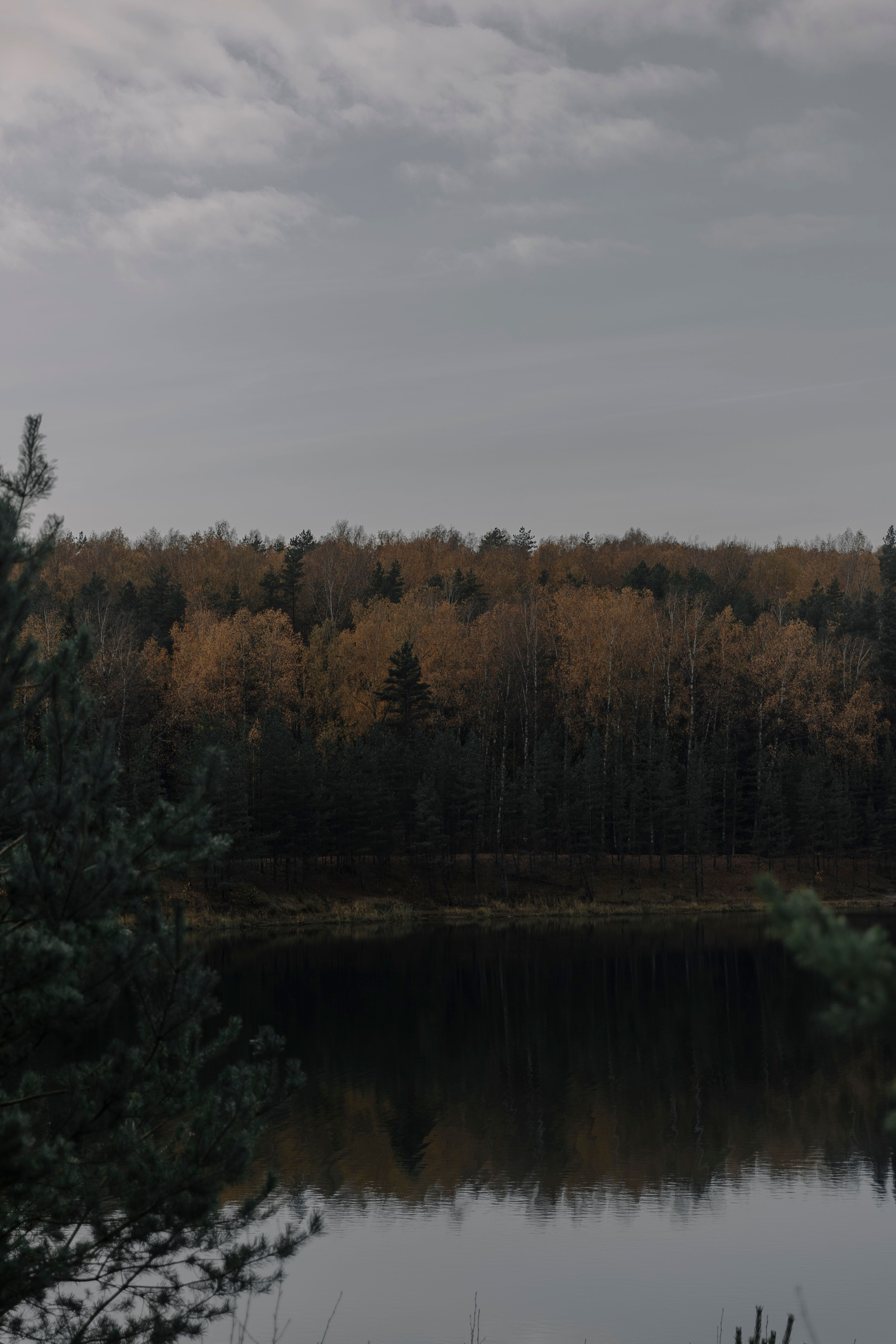Aerial View of Autumn Forest on Lake Shore Reflecting in Water · Free ...