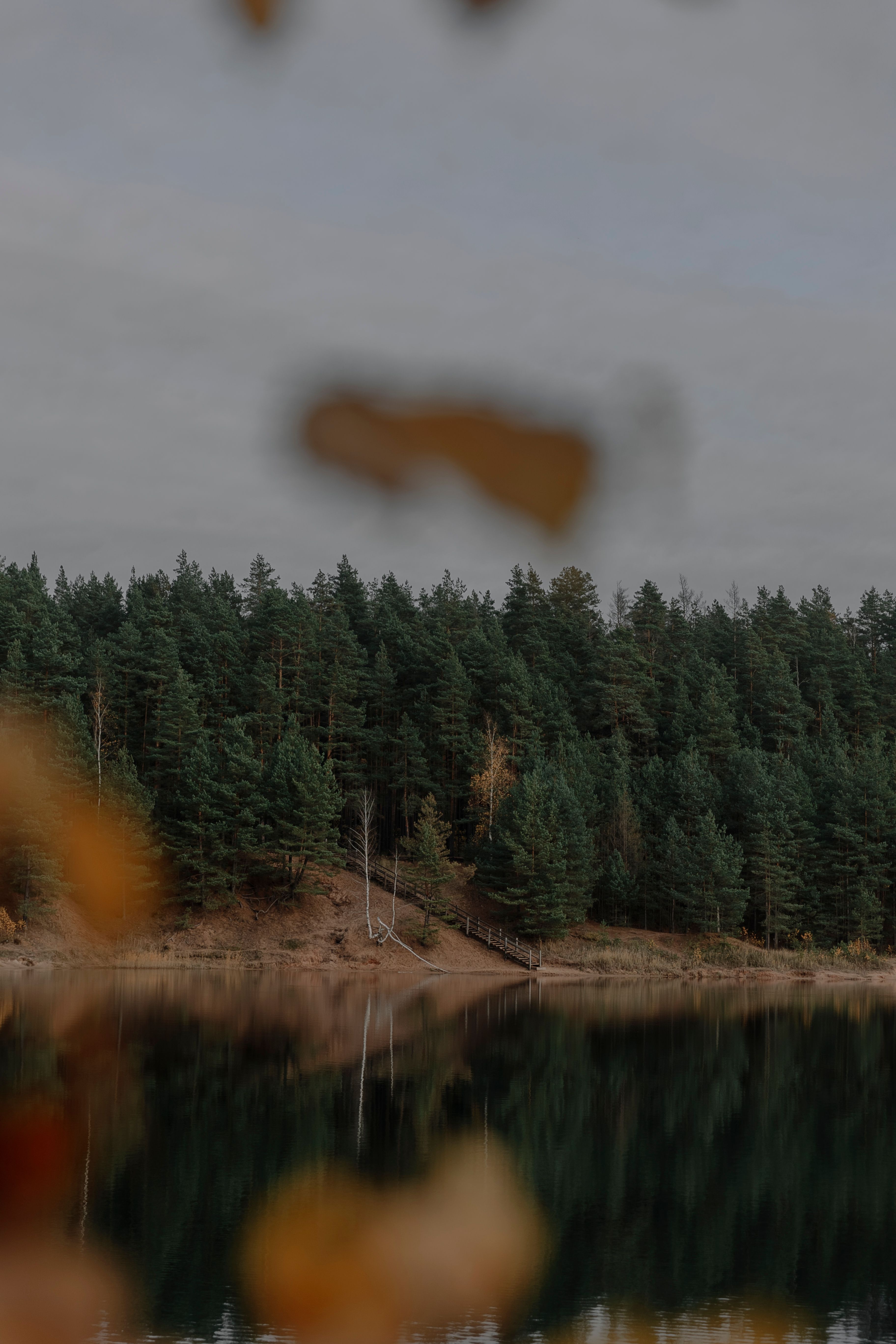 Selective Focus of Lake and Forest · Free Stock Photo