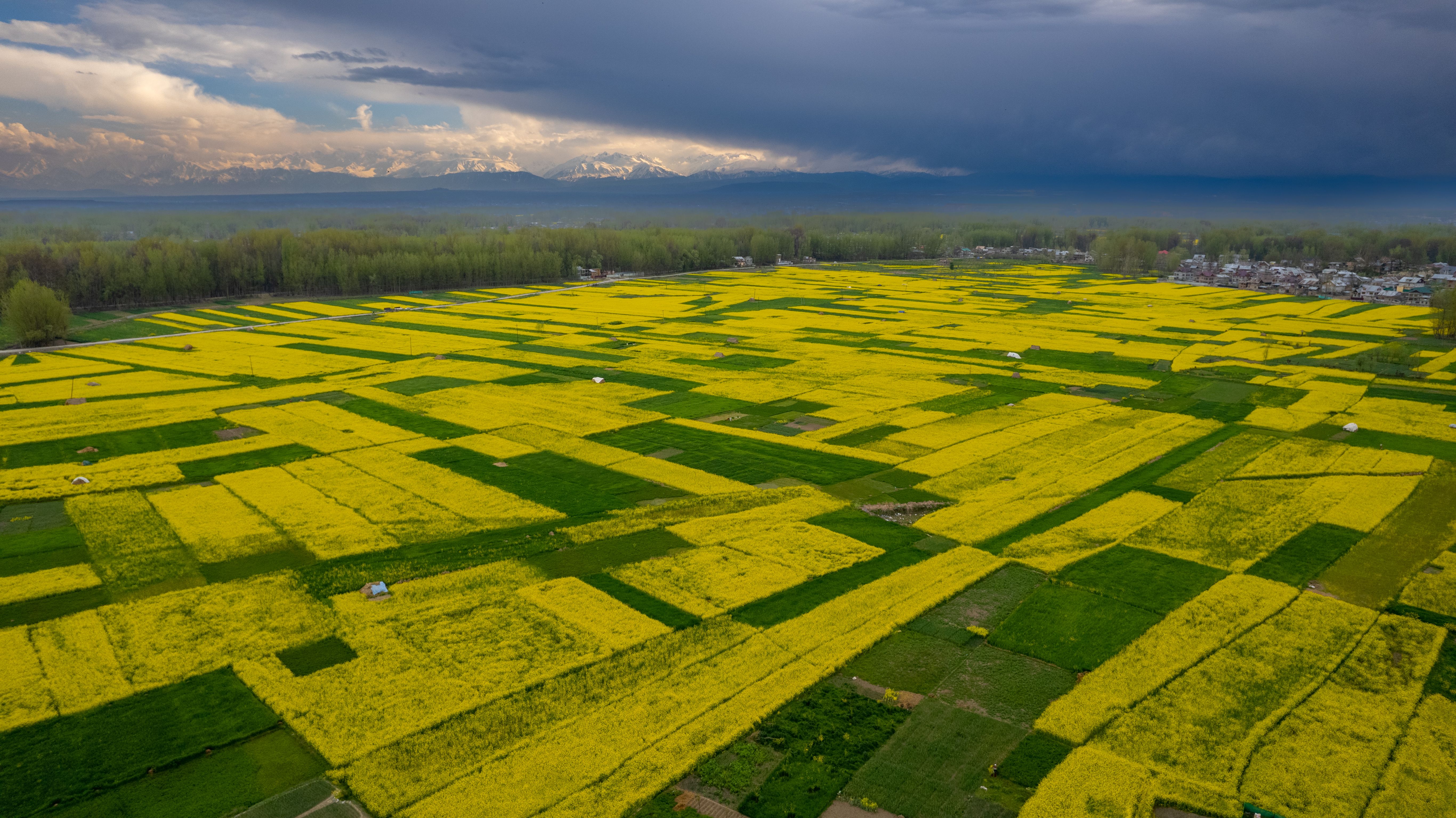 Fields and Town · Free Stock Photo