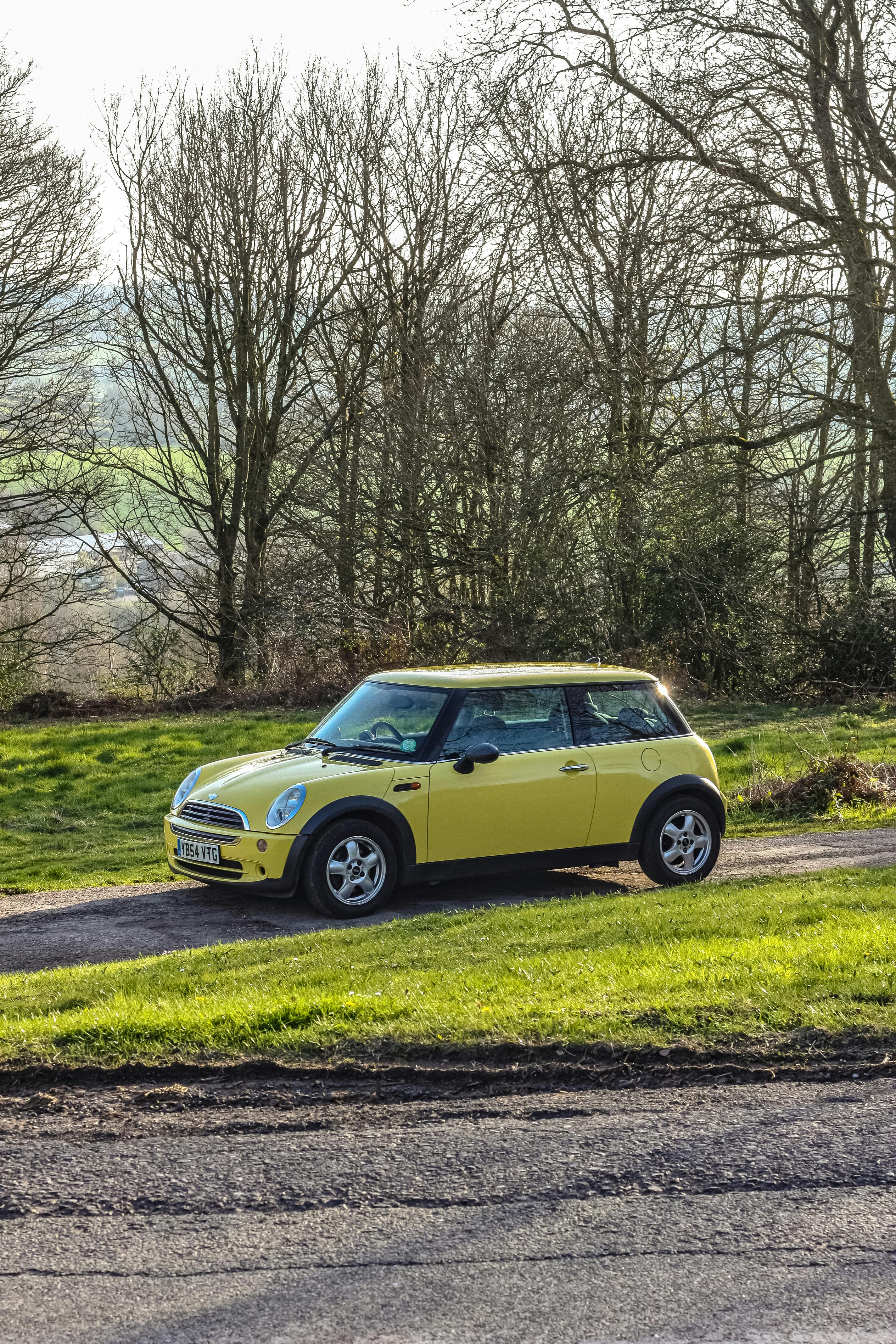 Trees around Yellow Mini Cooper on Road · Free Stock Photo