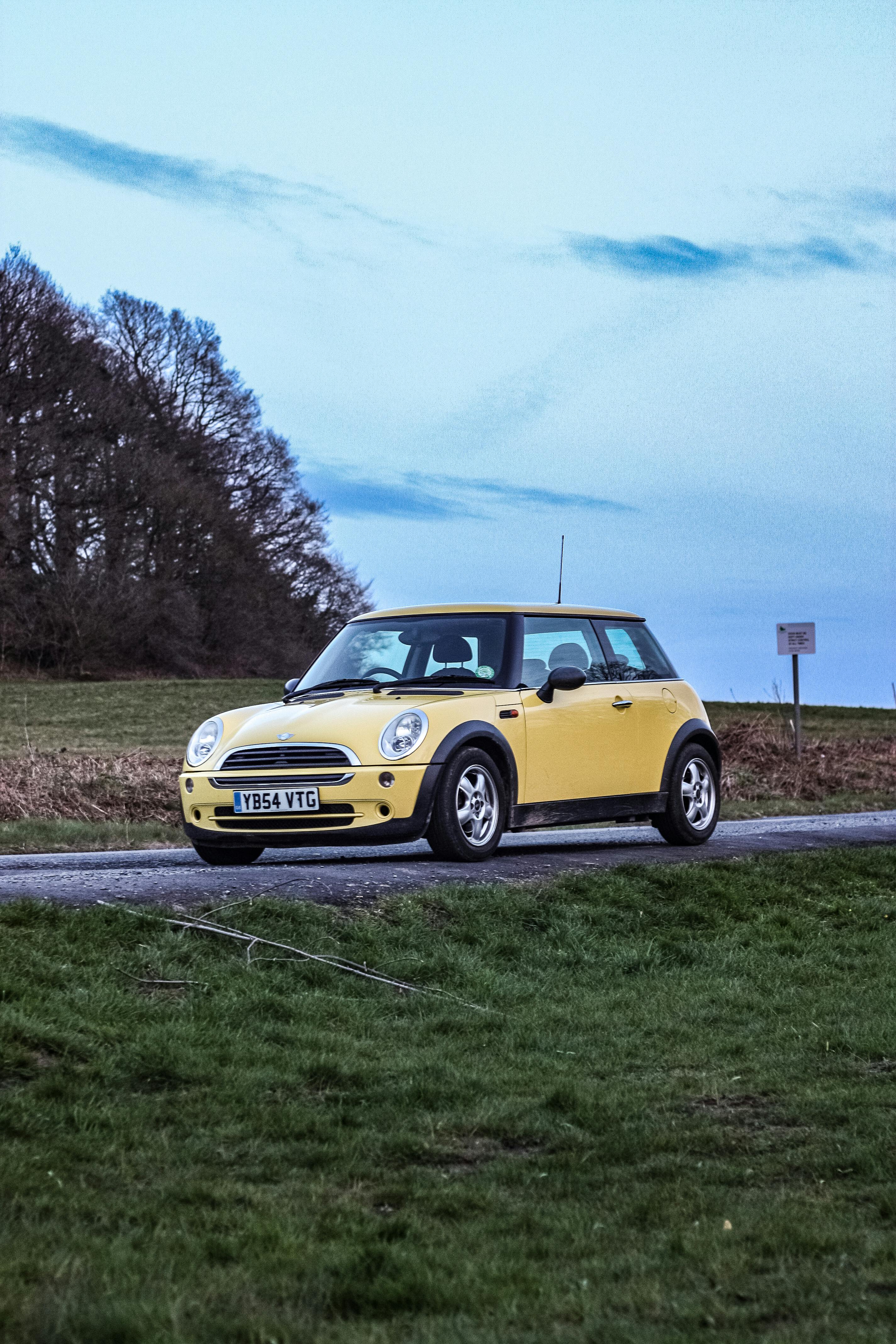 Trees around Yellow Mini Cooper on Road · Free Stock Photo