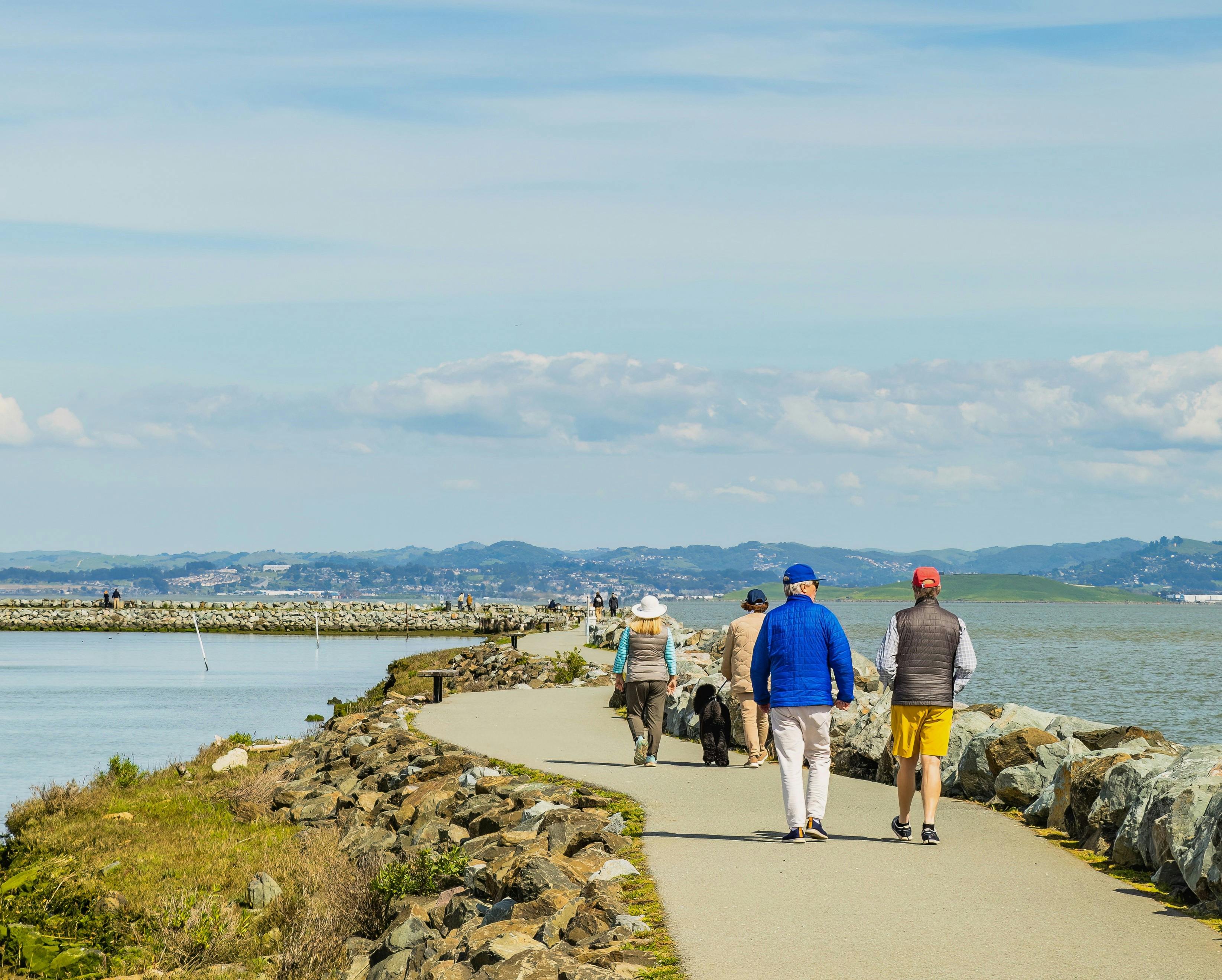 Chanakya Walk Photos, Download The BEST Free Chanakya Walk Stock Photos ...