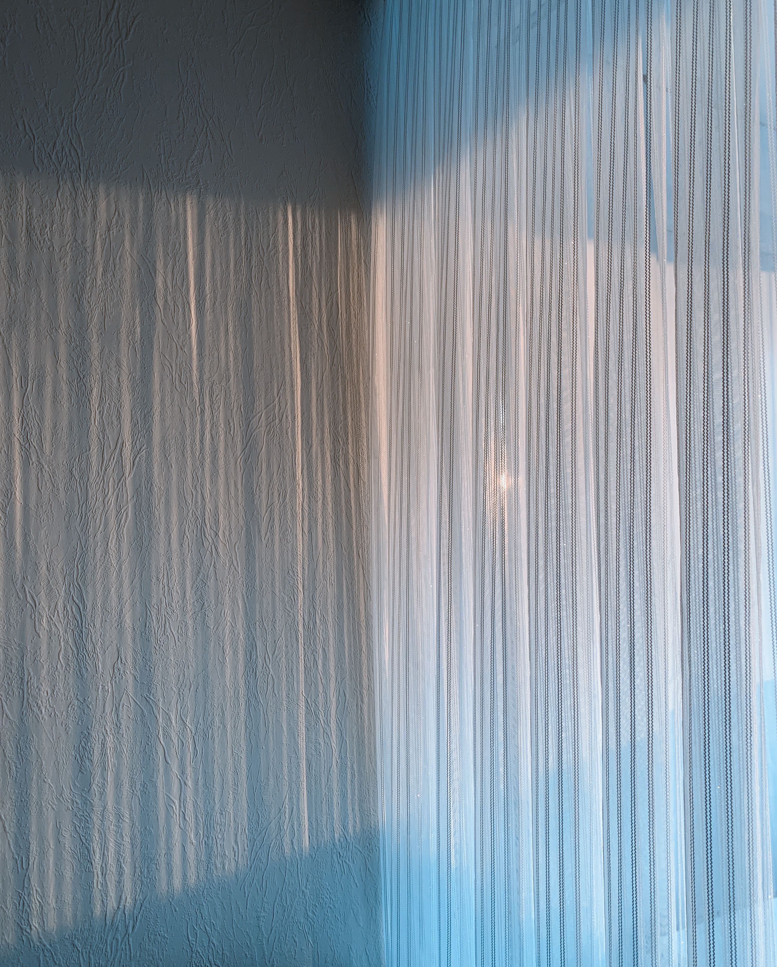 Sun Shining on Blue Wall through Sheer Curtain · Free Stock Photo