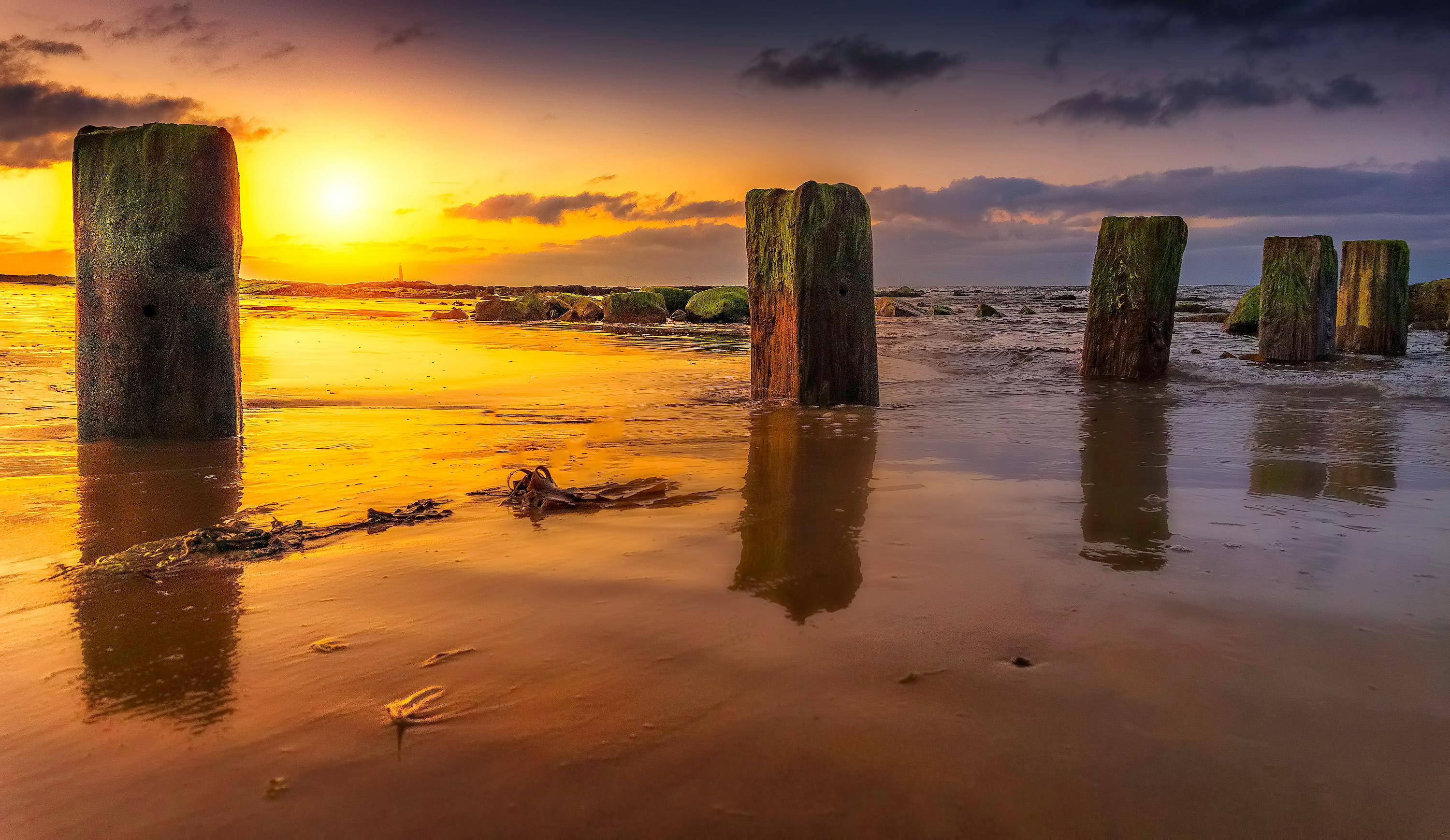 Green Stones Surrounded With Mud · Free Stock Photo