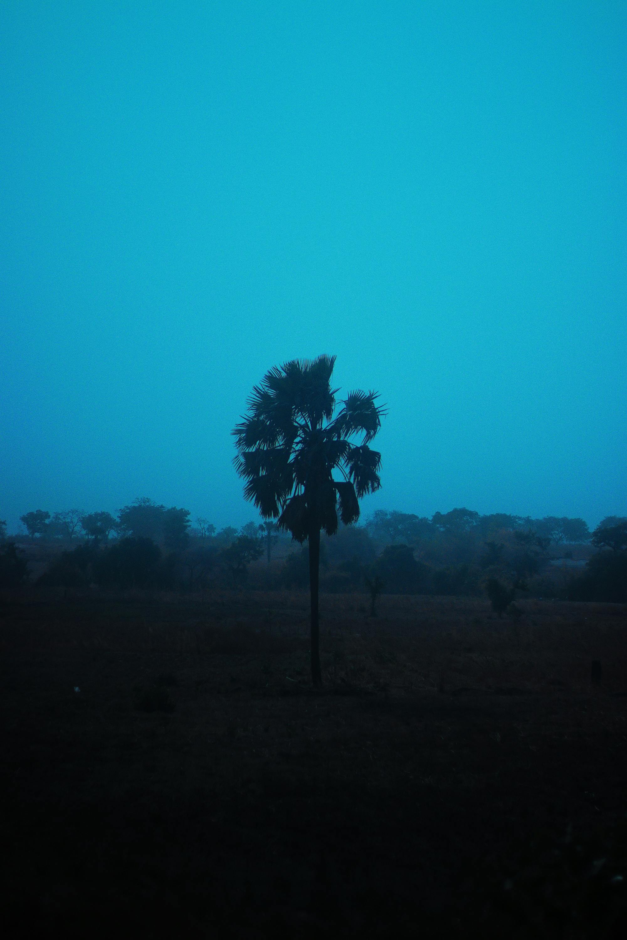 Ameer Umar - Fotografía Ameer Umar - Fotografía