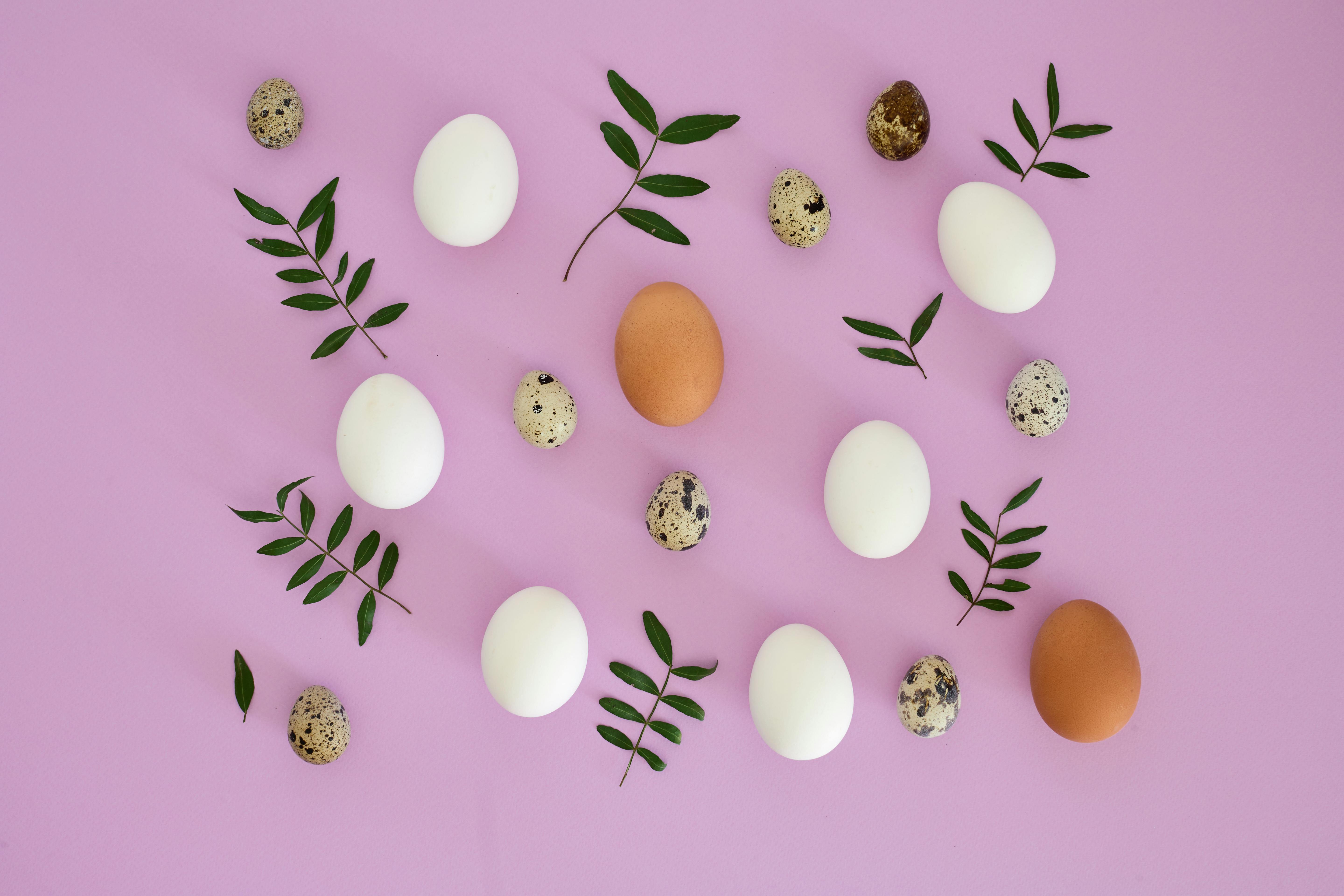 Eggs on a Yellow Background · Free Stock Photo