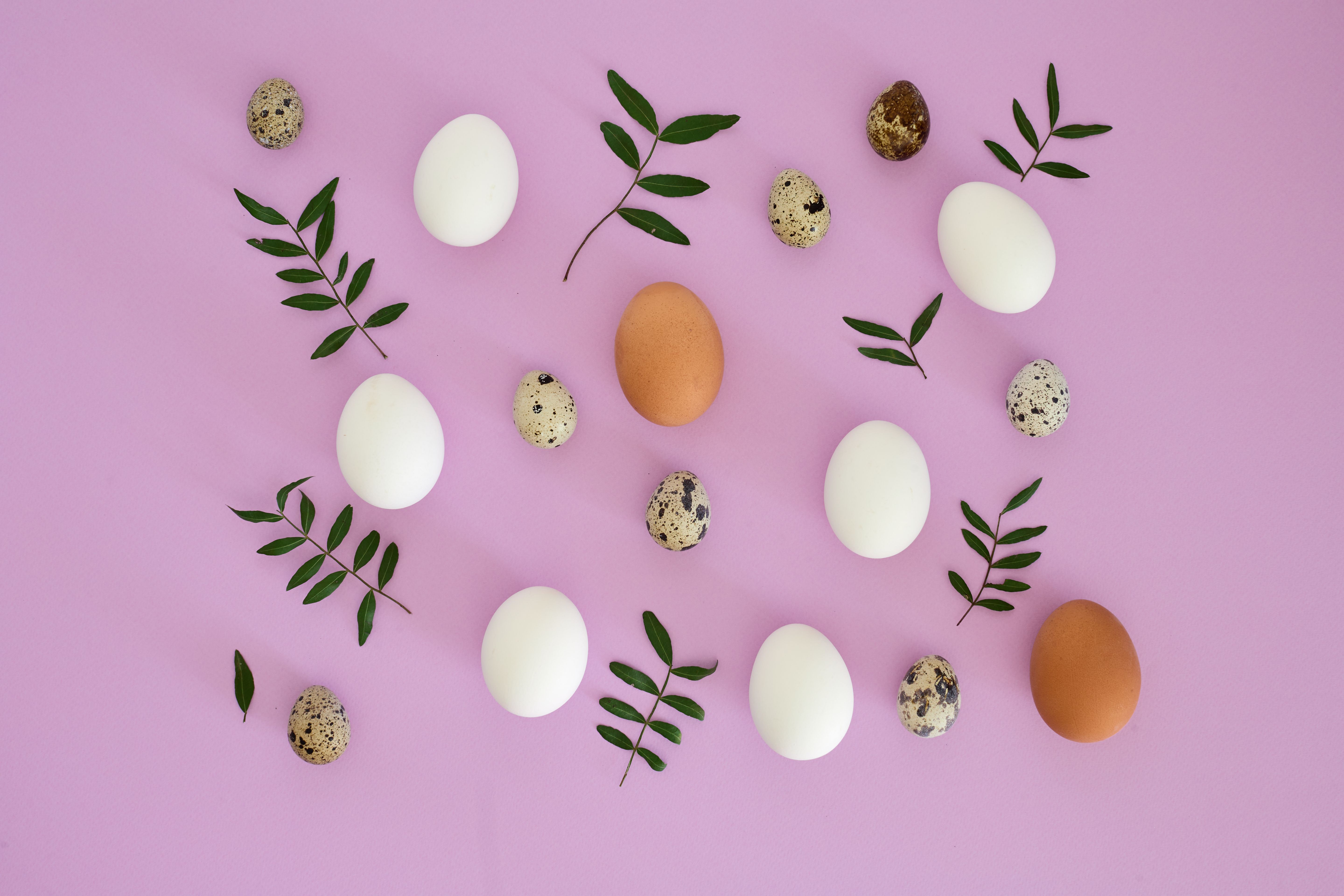 Egg Backgrounds Photos, Download The BEST Free Egg Backgrounds Stock ...
