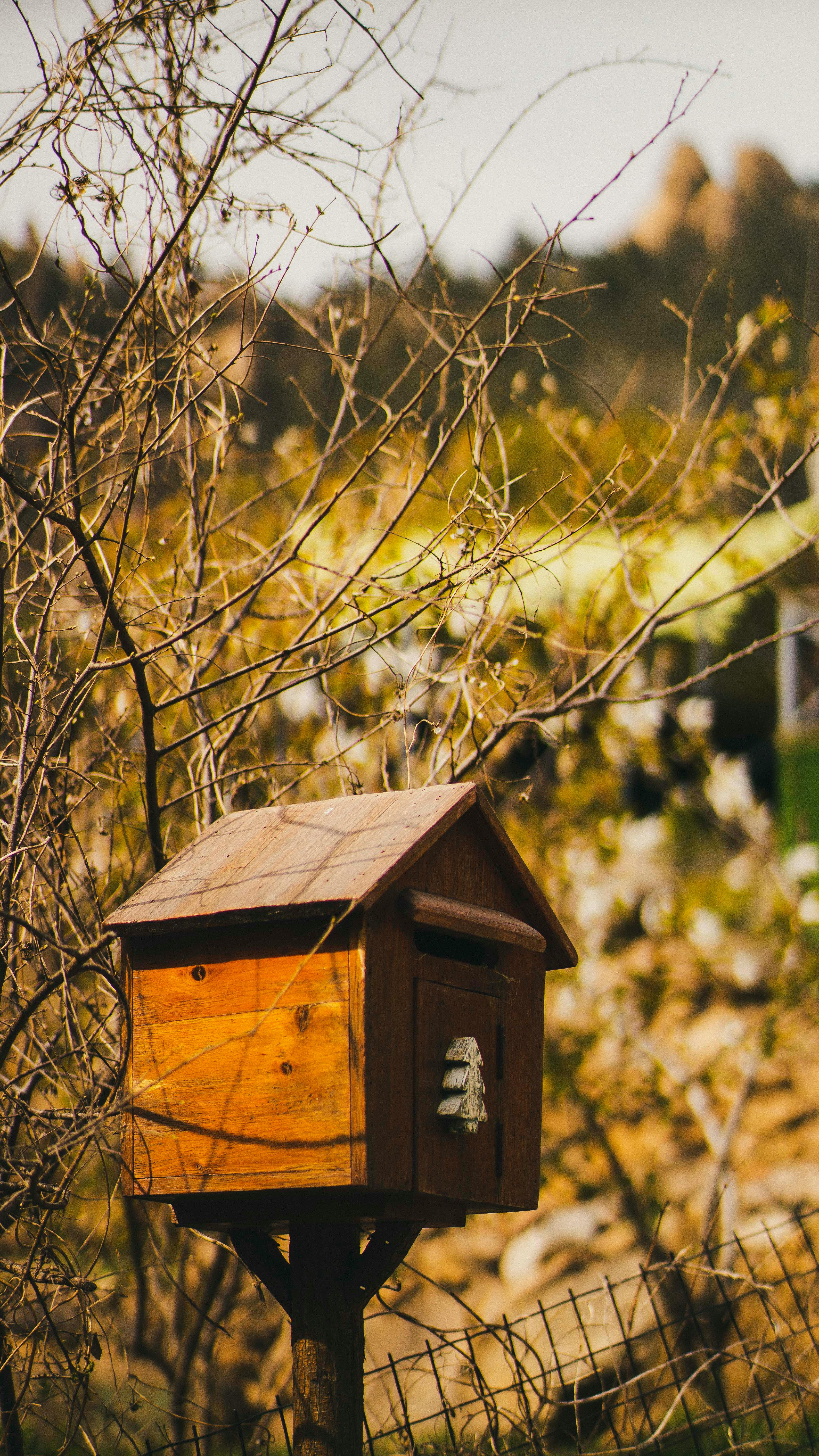 White Birdhouse · Free Stock Photo