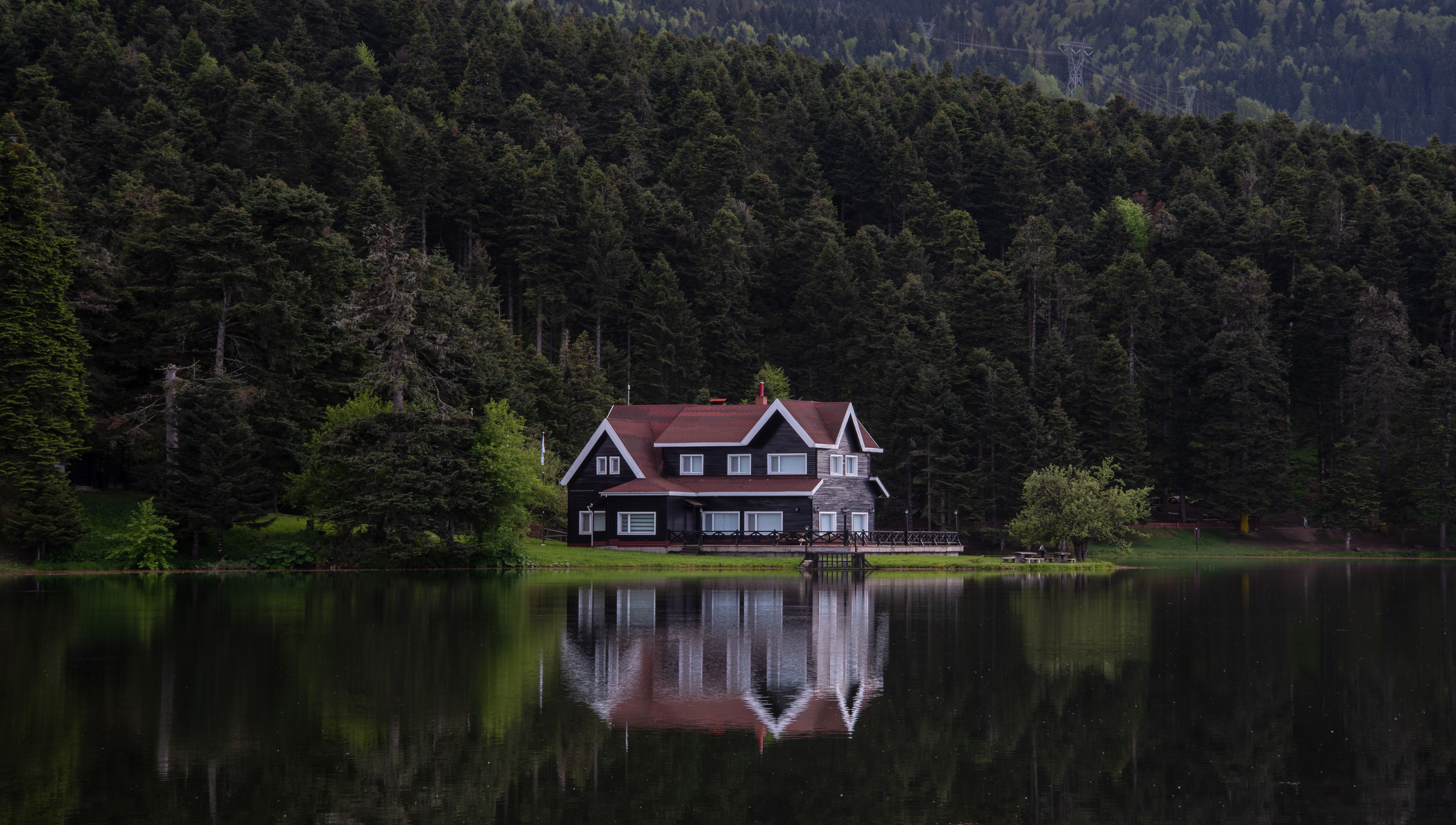 Desktop Wallpaper House In Forest Photos, Download The BEST Free ...