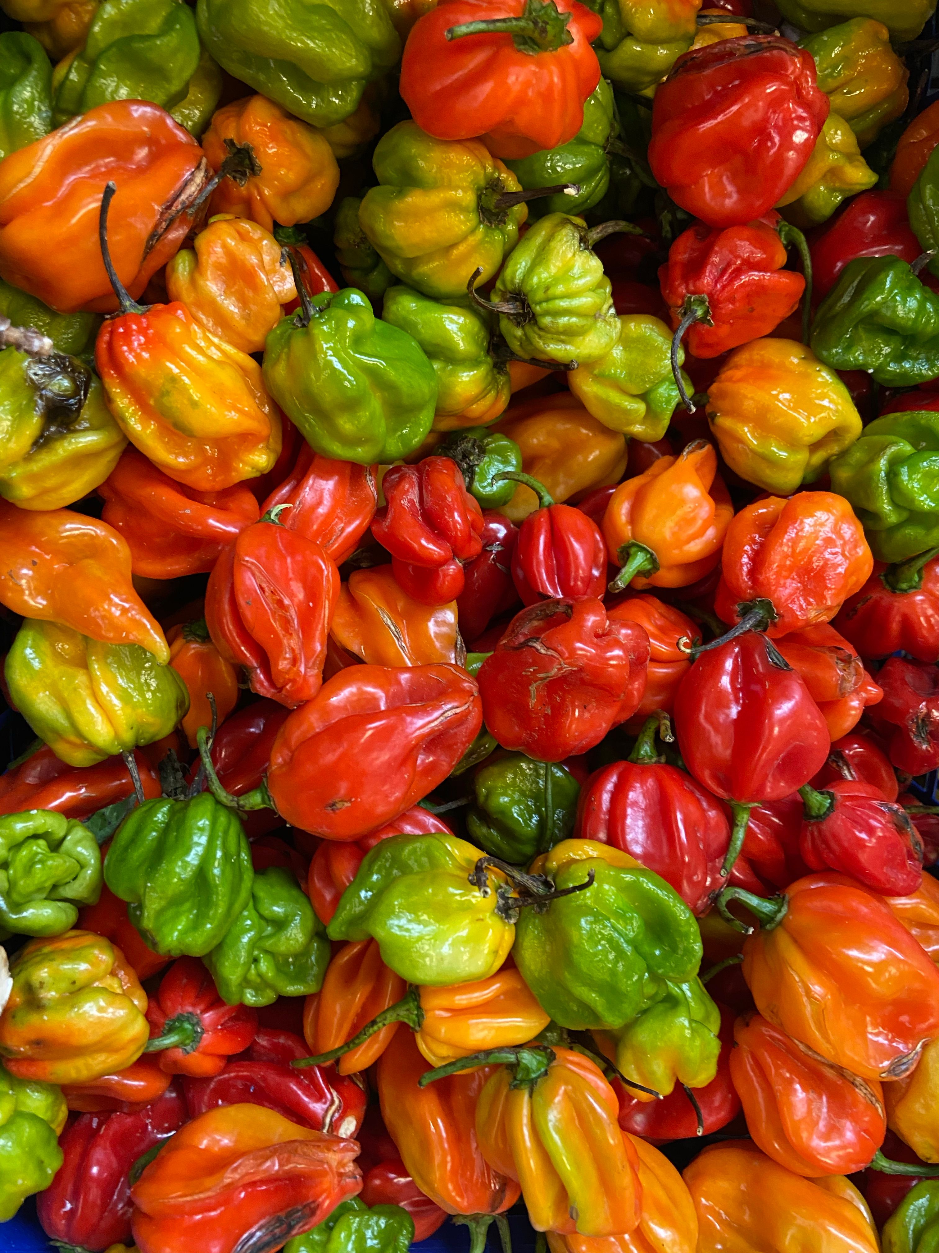 Close up of Peppers · Free Stock Photo
