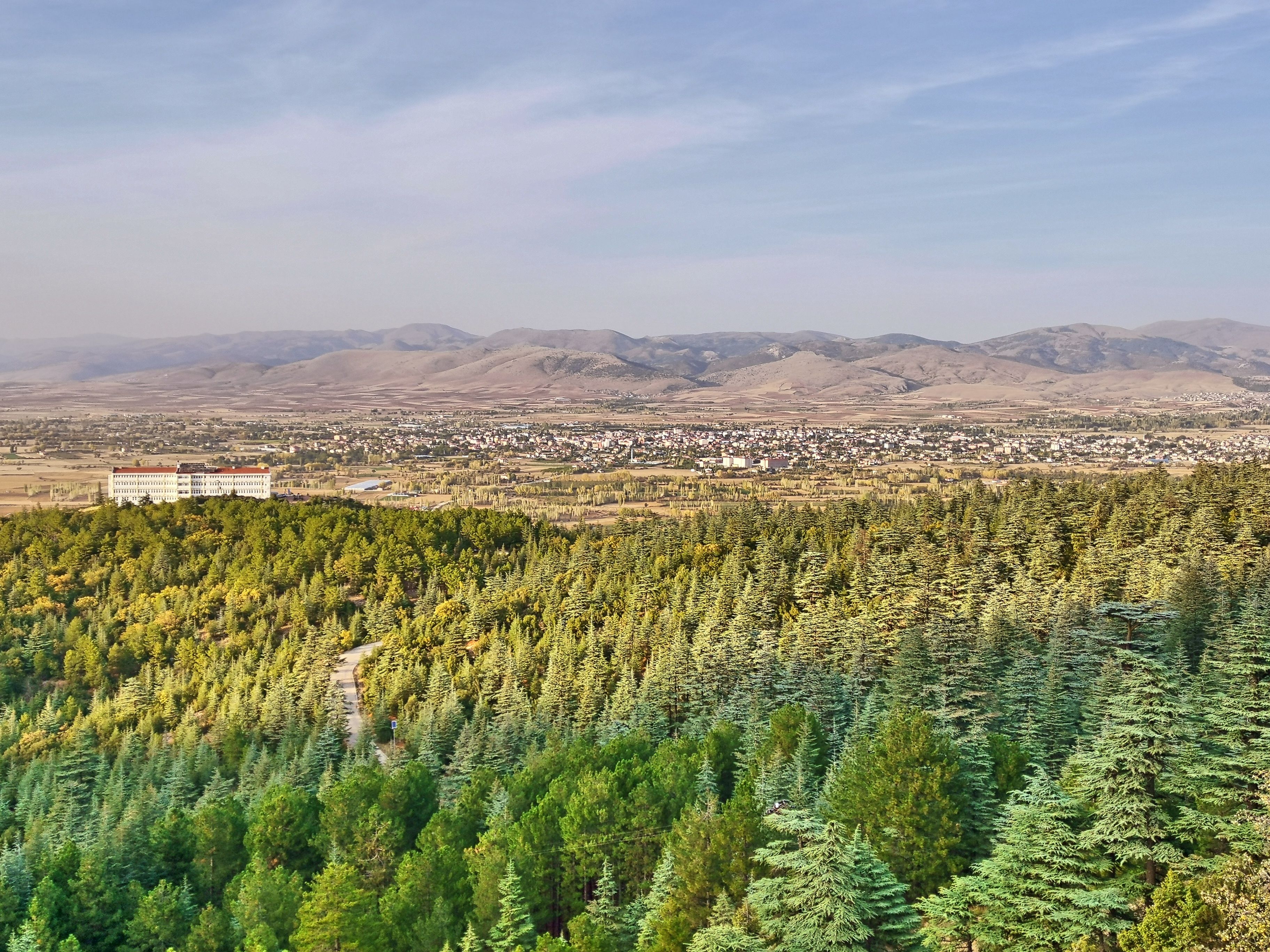 Aerial View of a Forest and Mountains in Distance · Free Stock Photo
