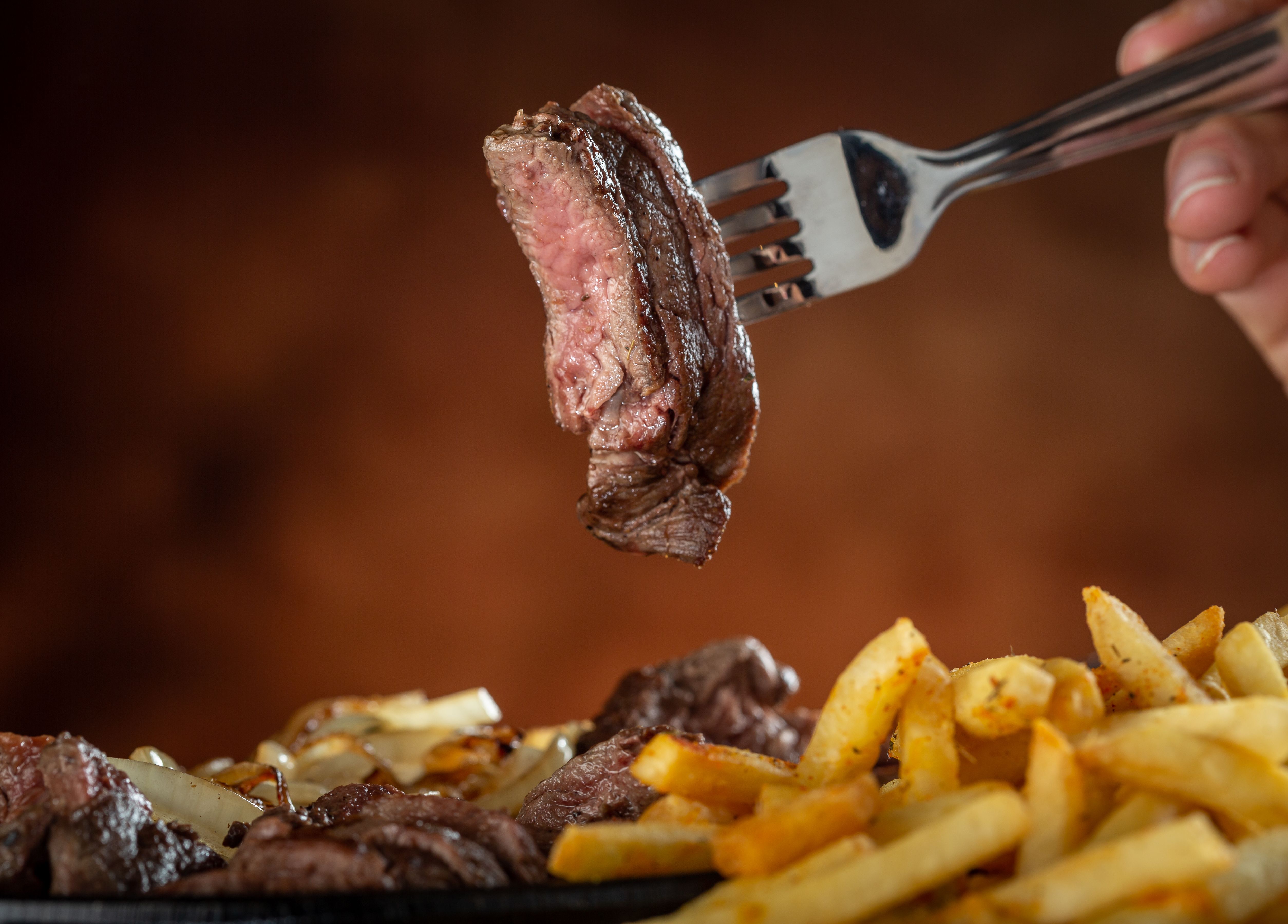 Roasted Meat and French Fries · Free Stock Photo