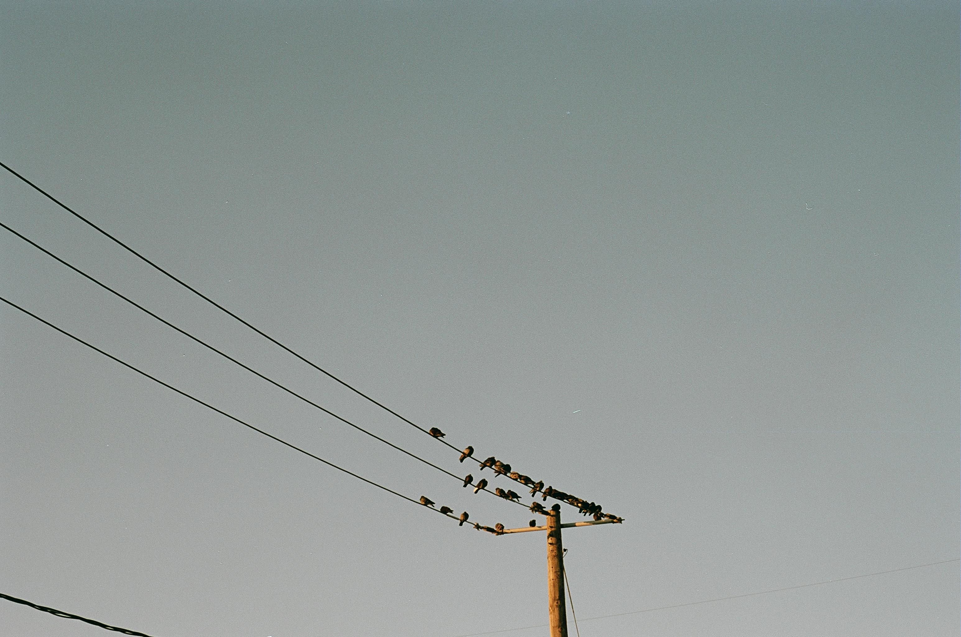 Andrew Main Oster - 写真