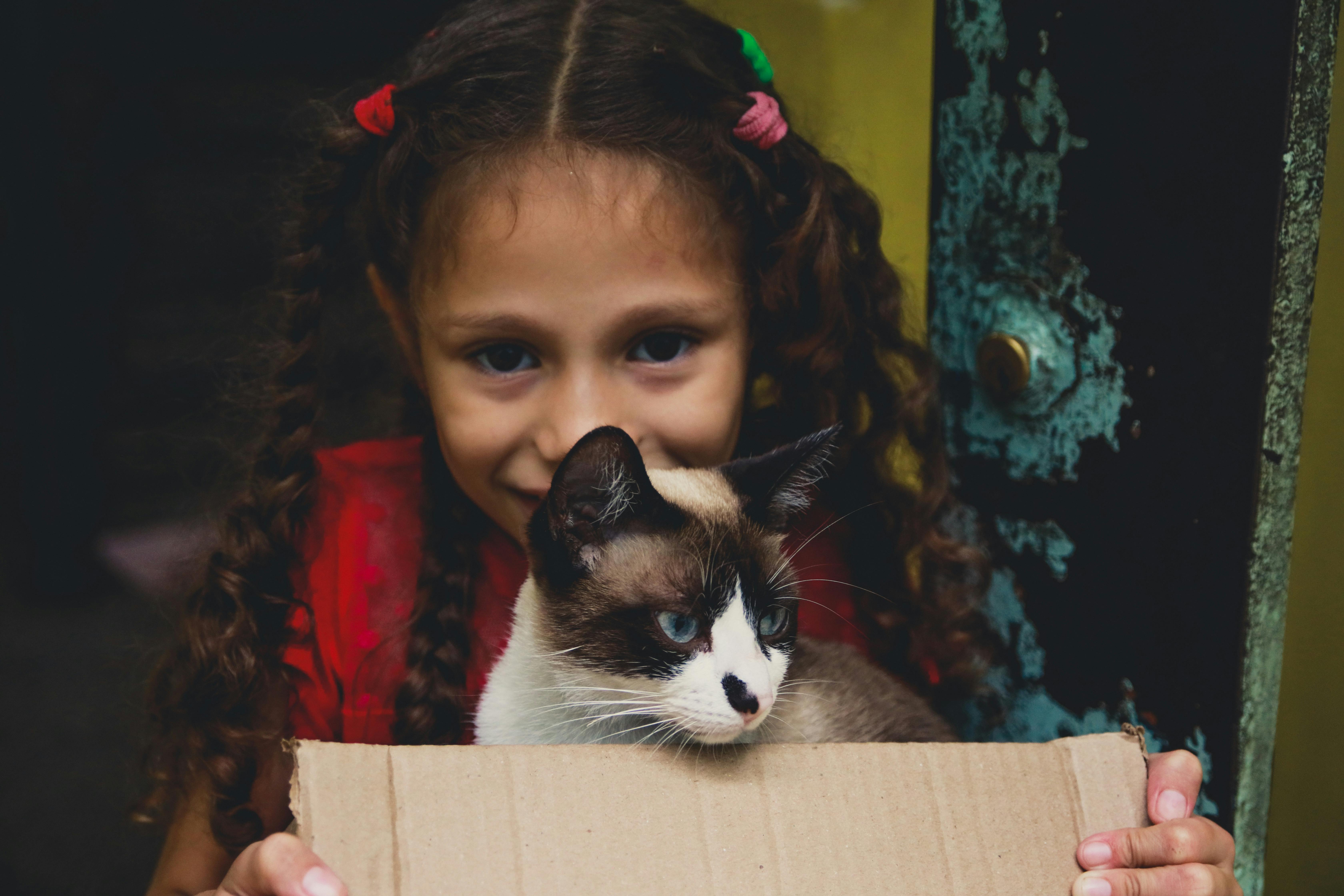 Girl with a Cat in a Box · Free Stock Photo