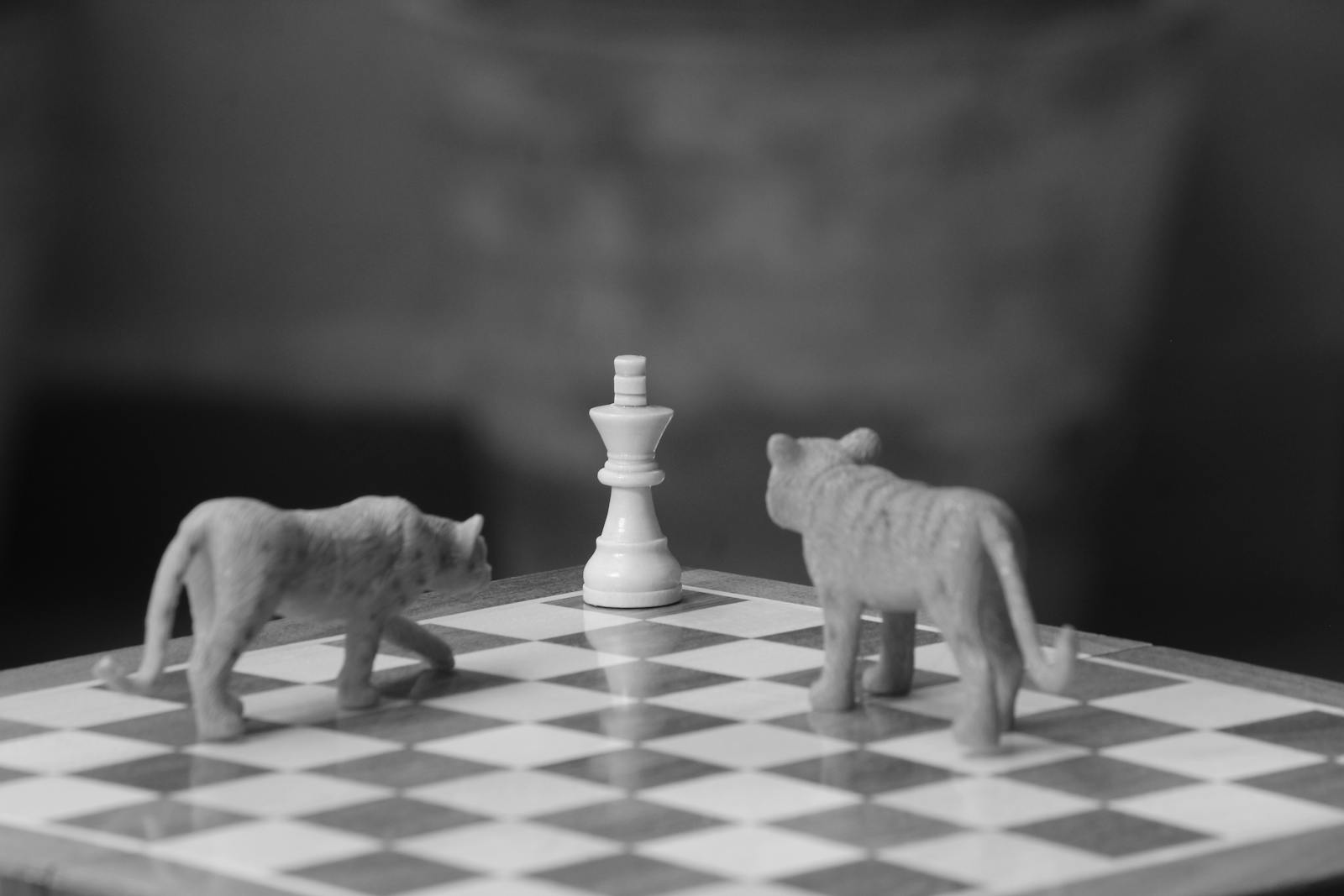 Chess Animated Photos, Download The BEST Free Chess Animated Stock ...