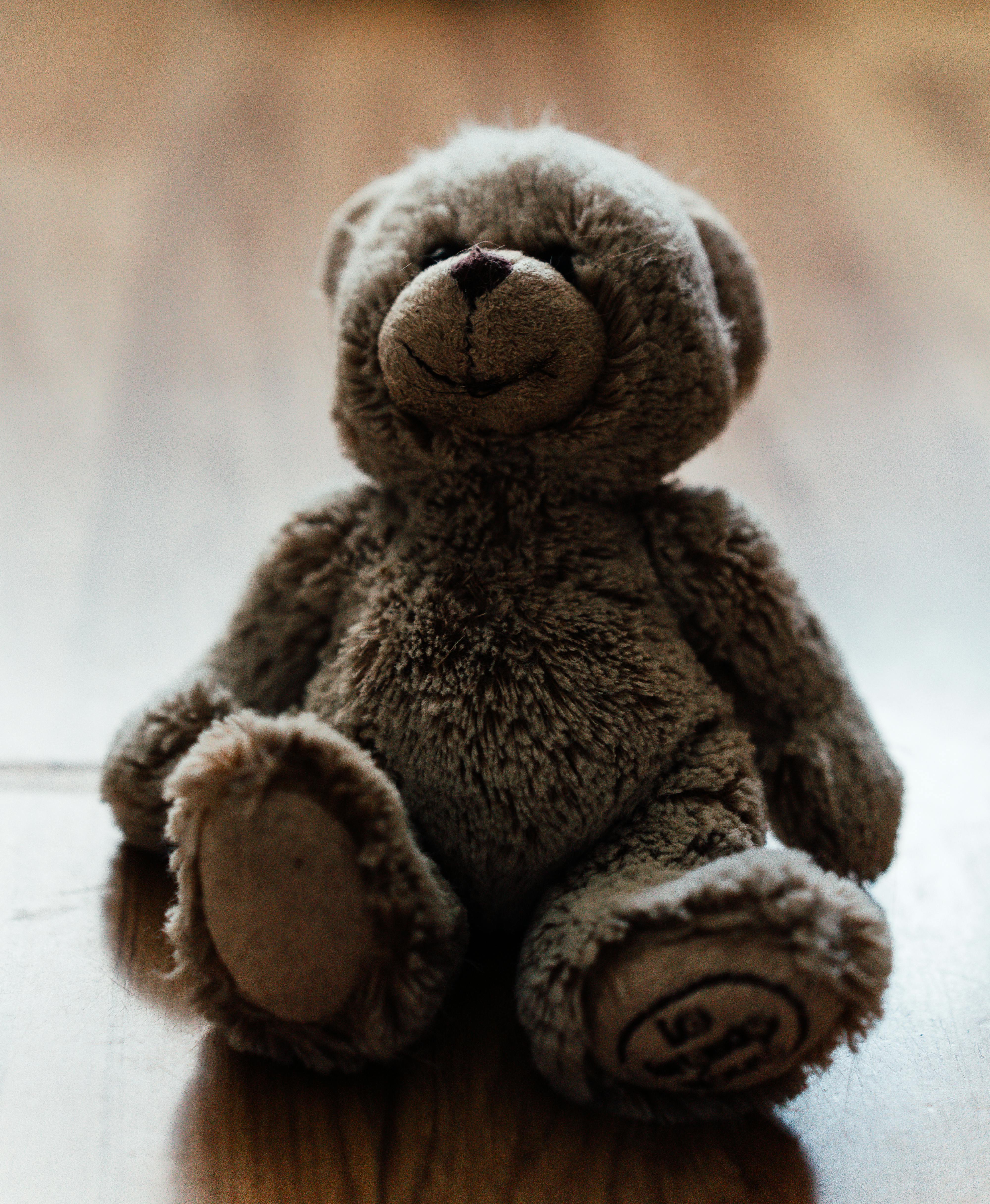 Brown Teddy Bear on Brown Wooden Bench Outside · Free Stock Photo