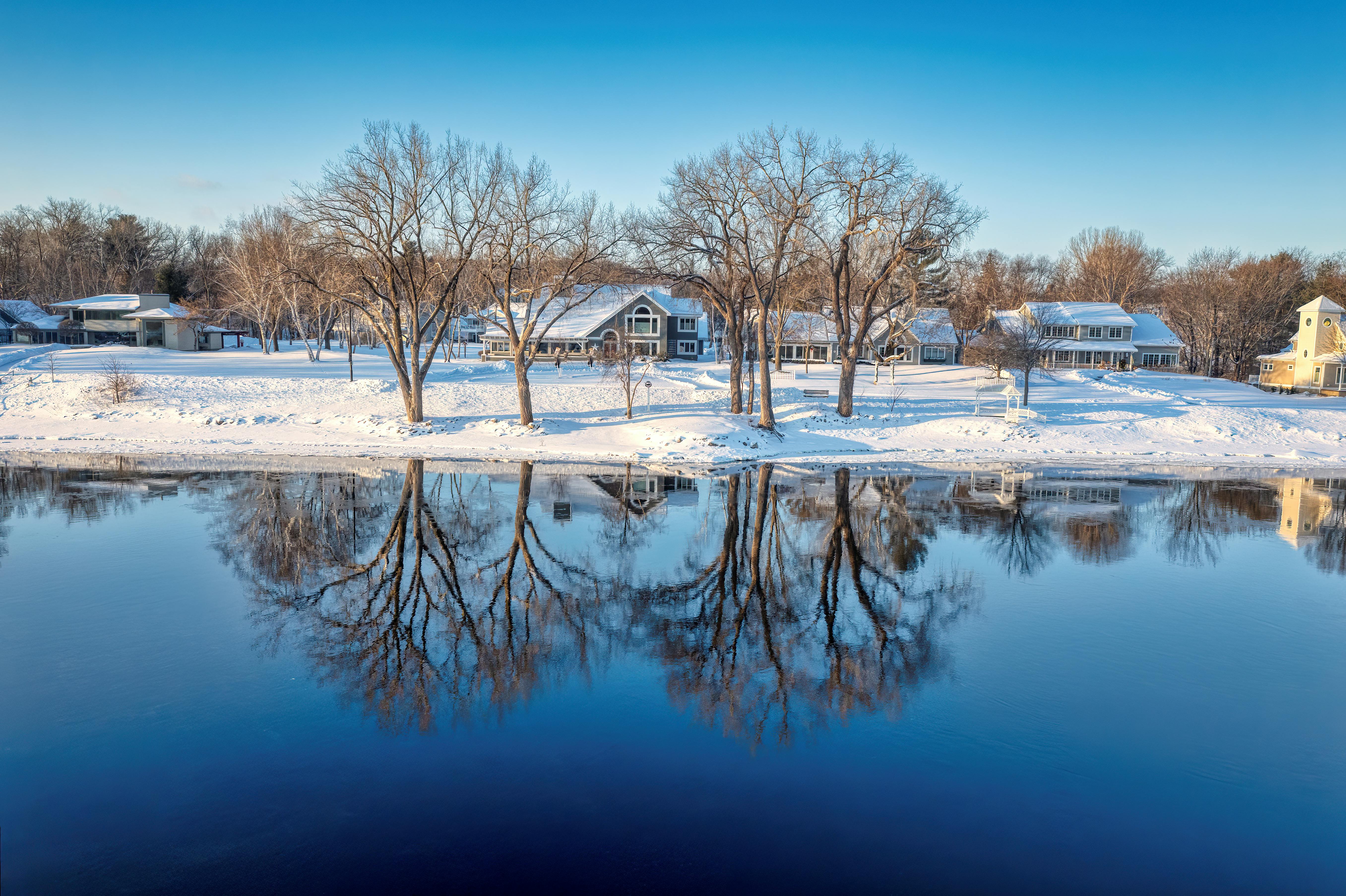 Trees Reflection in Water in Winter Countryside · Free Stock Photo