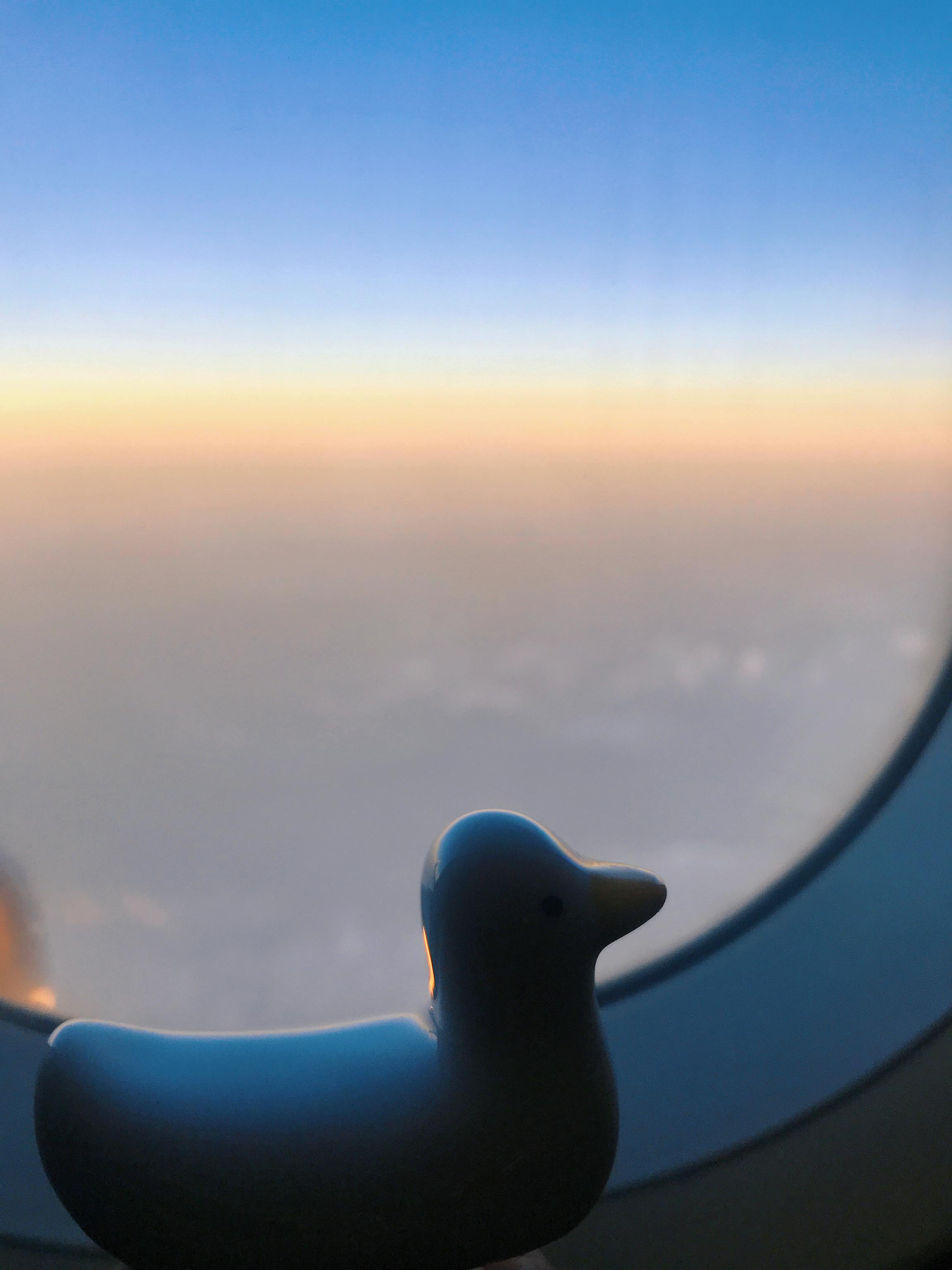 echo LIN - Photography