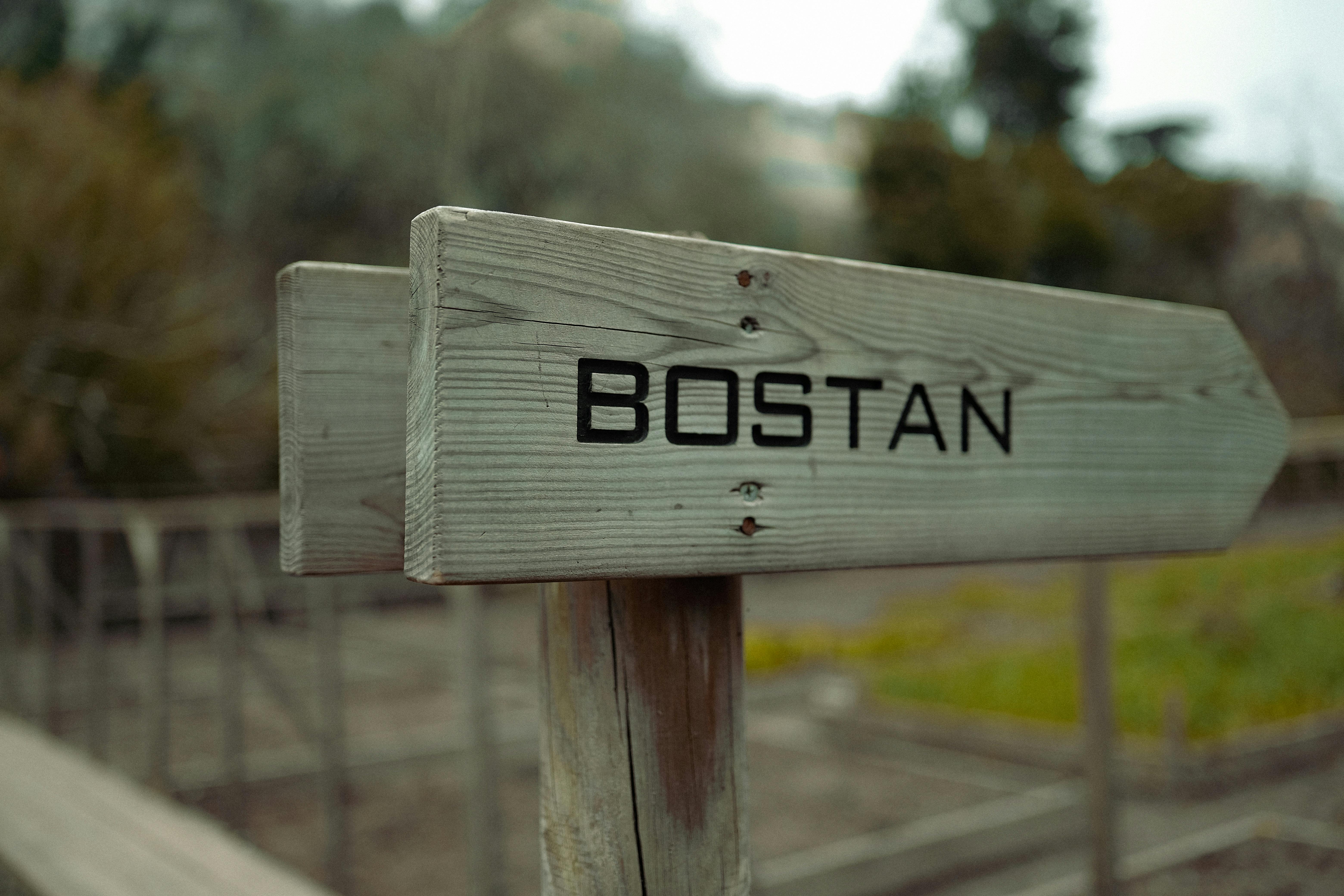 Wooden Directional Sign · Free Stock Photo