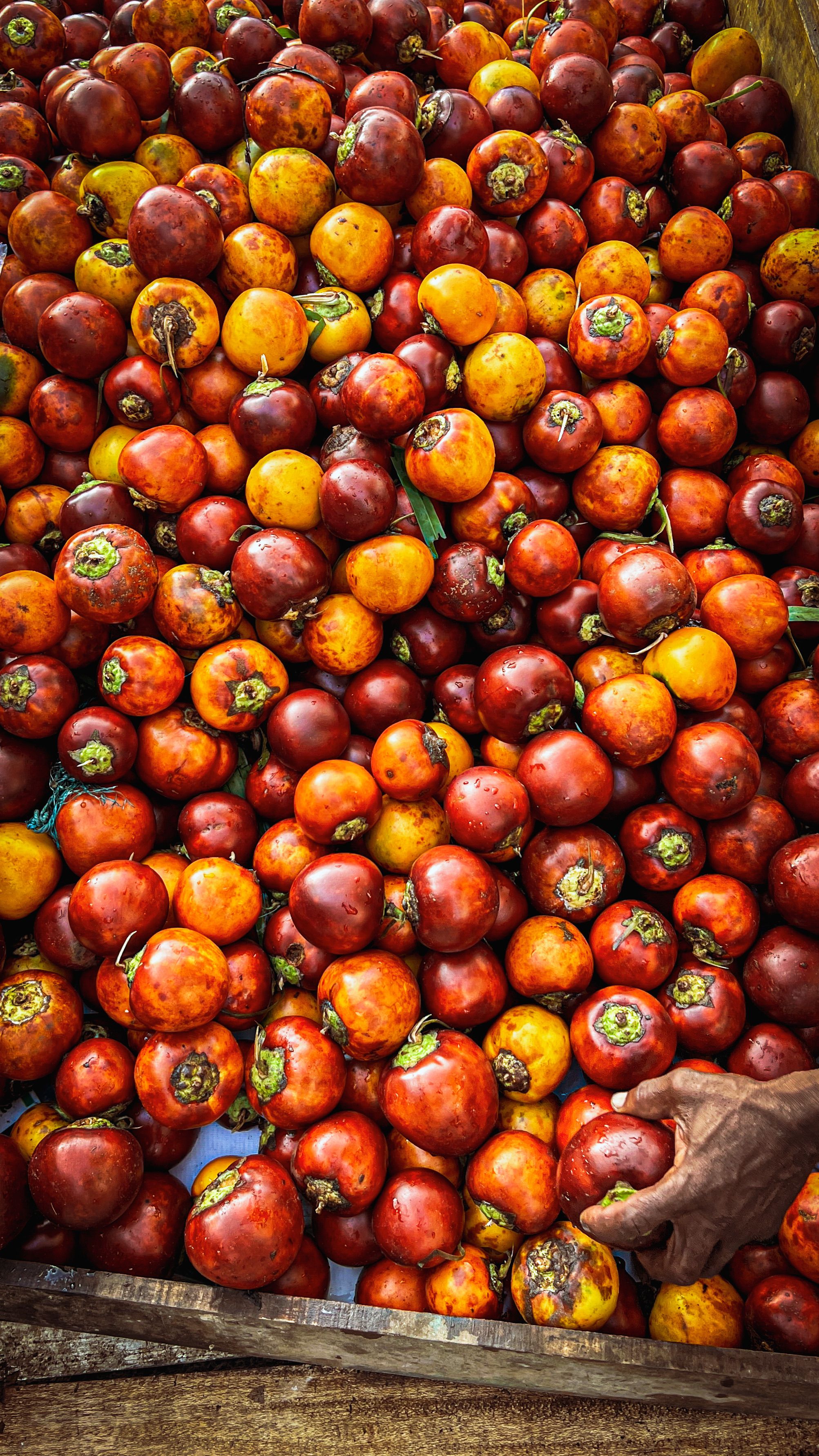 Close up of Red Fruit · Free Stock Photo