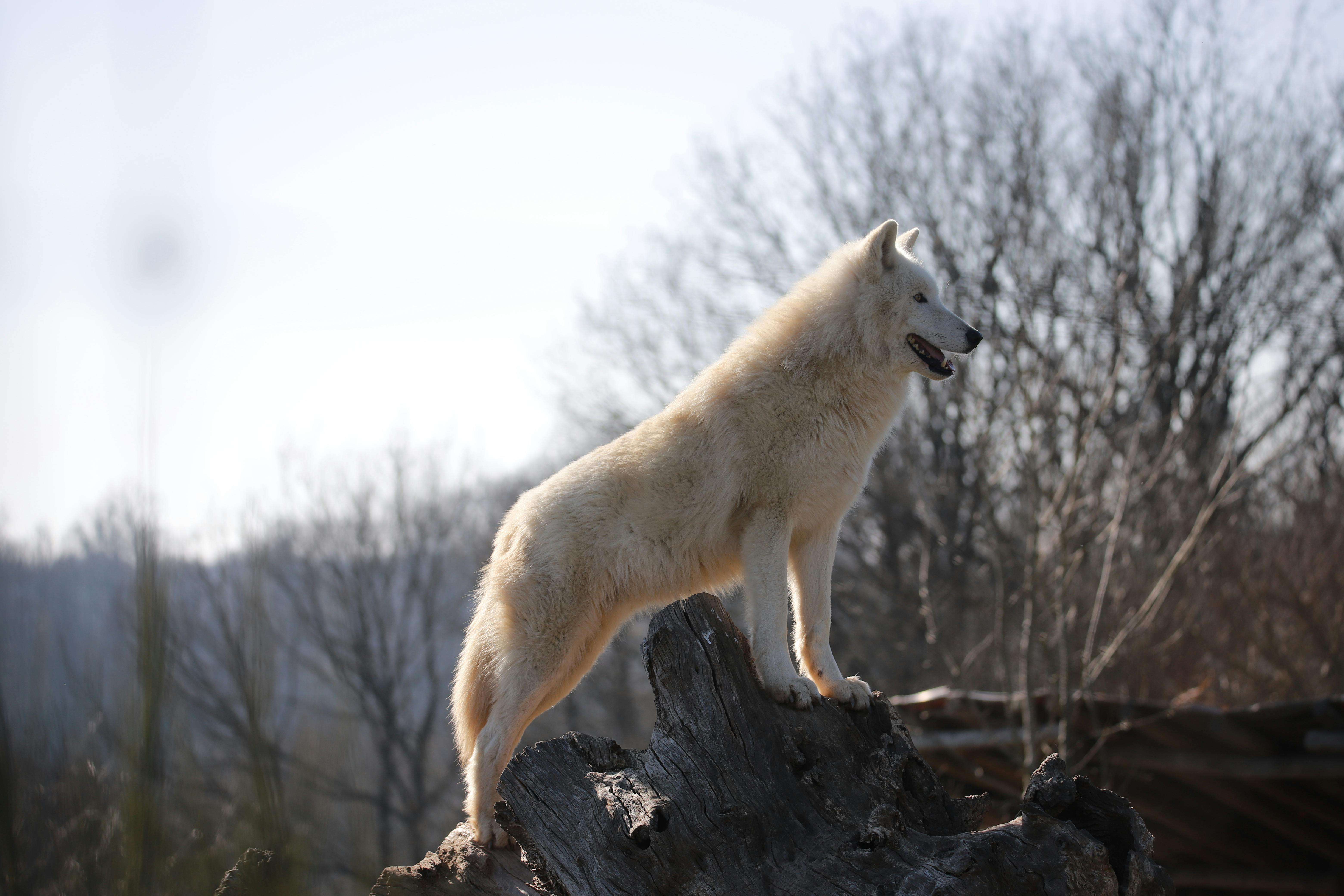 Trance Wallpaper Photos, Download The BEST Free Trance Wallpaper Stock ...