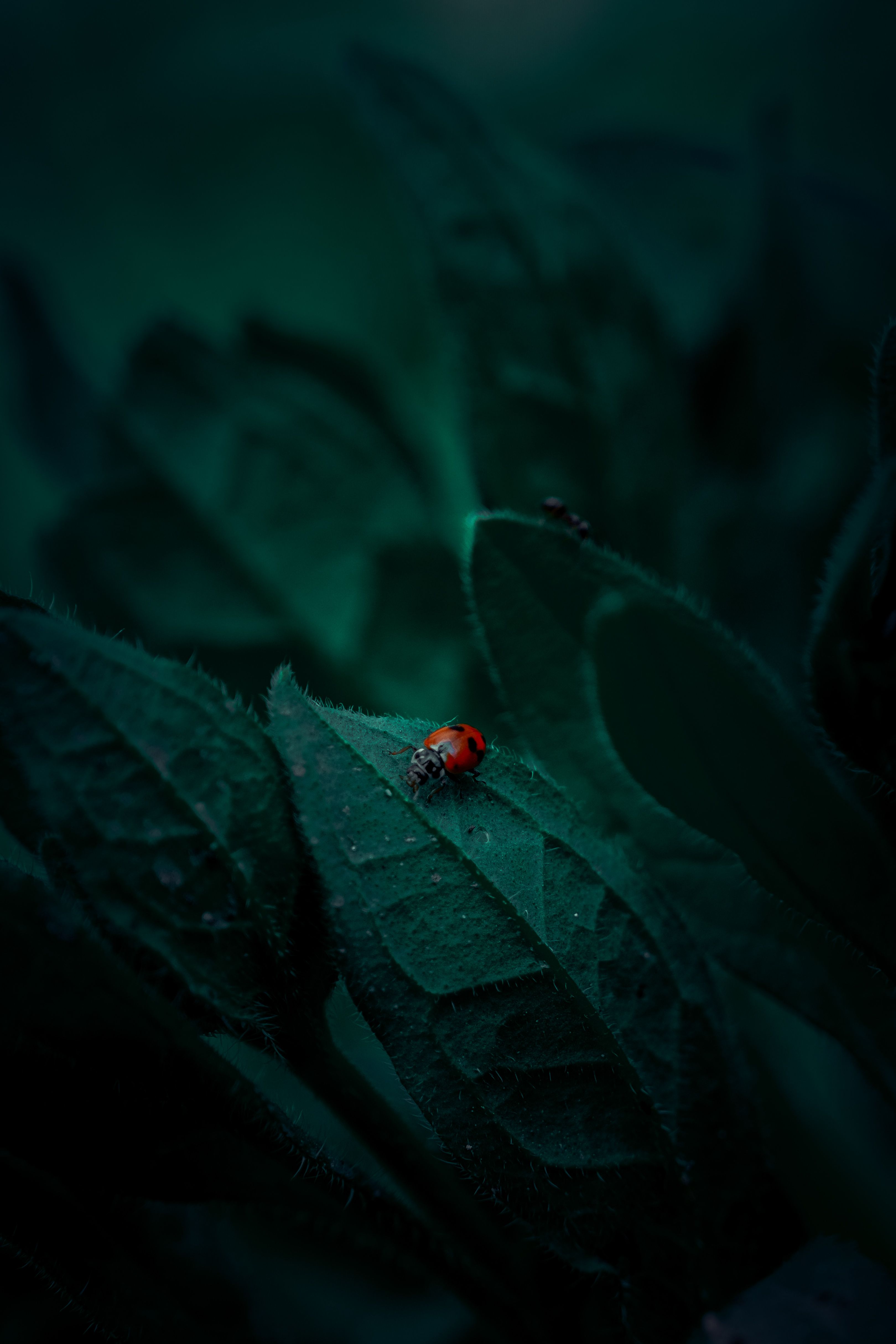 Freepik Photos, Download The BEST Free Freepik Stock Photos & HD Images