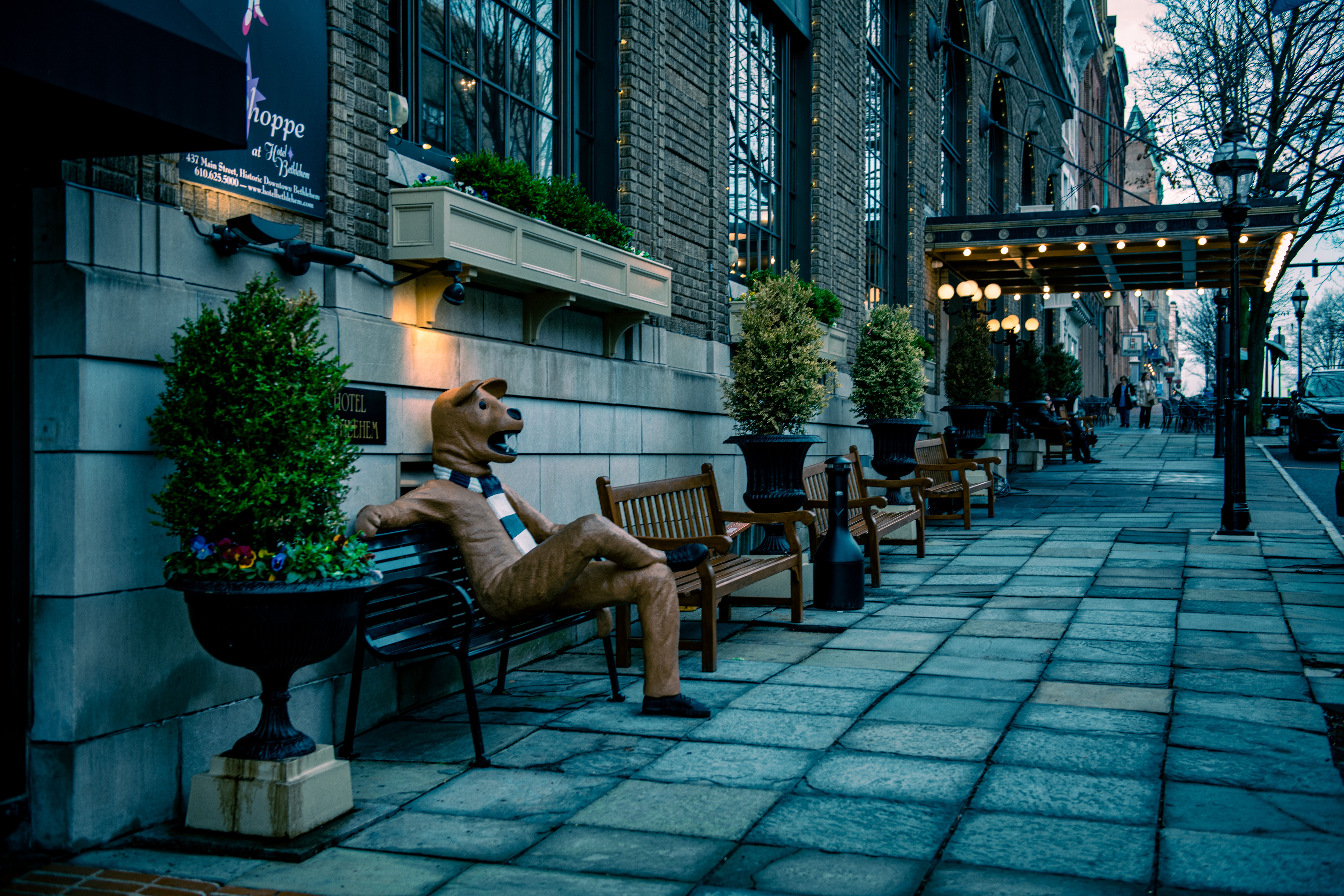 Man in a Bear Costume Sitting on a Bench · Free Stock Photo