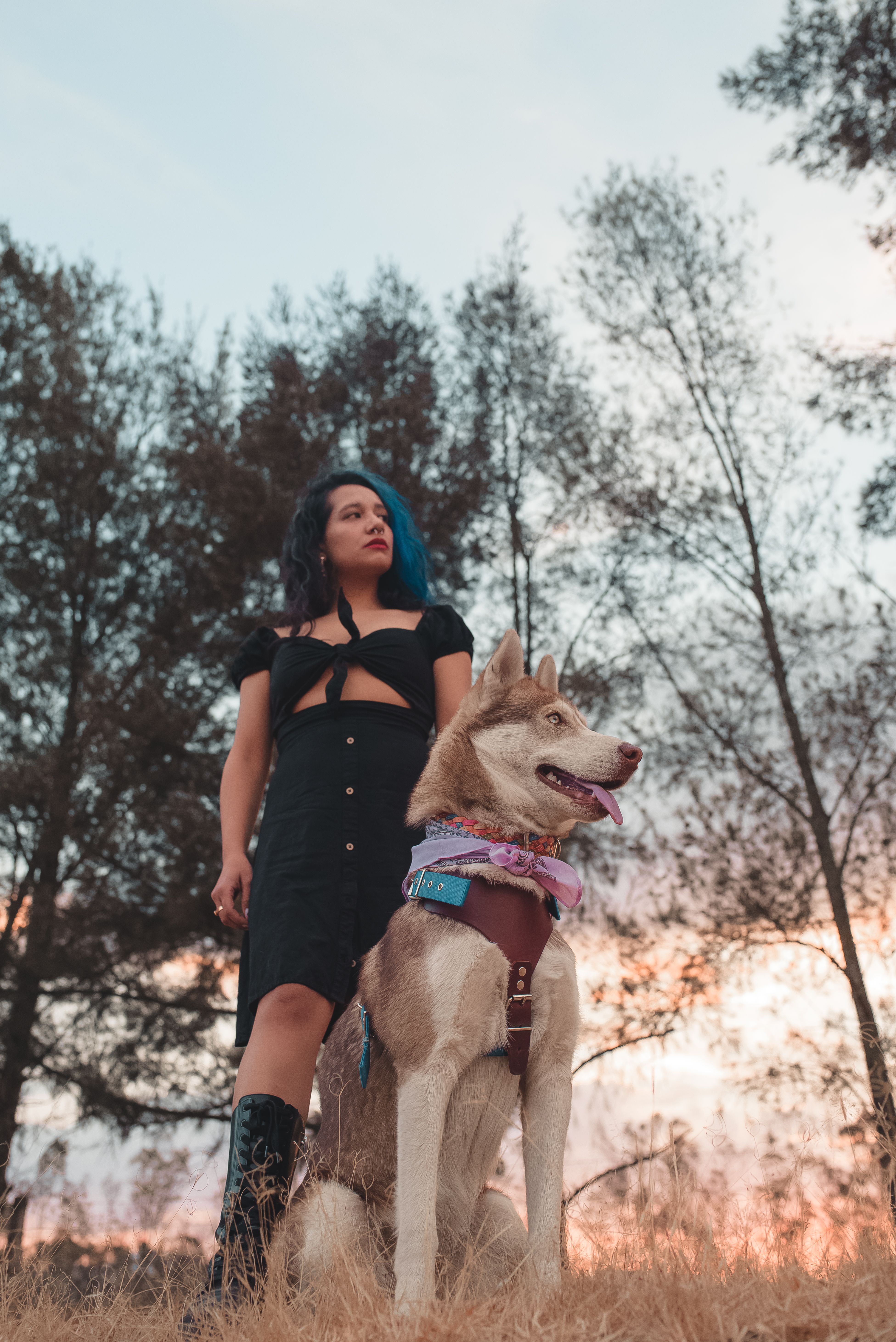 Young Woman with Dyed Blue Hair Standing on a Field with Her Husky Dog ...