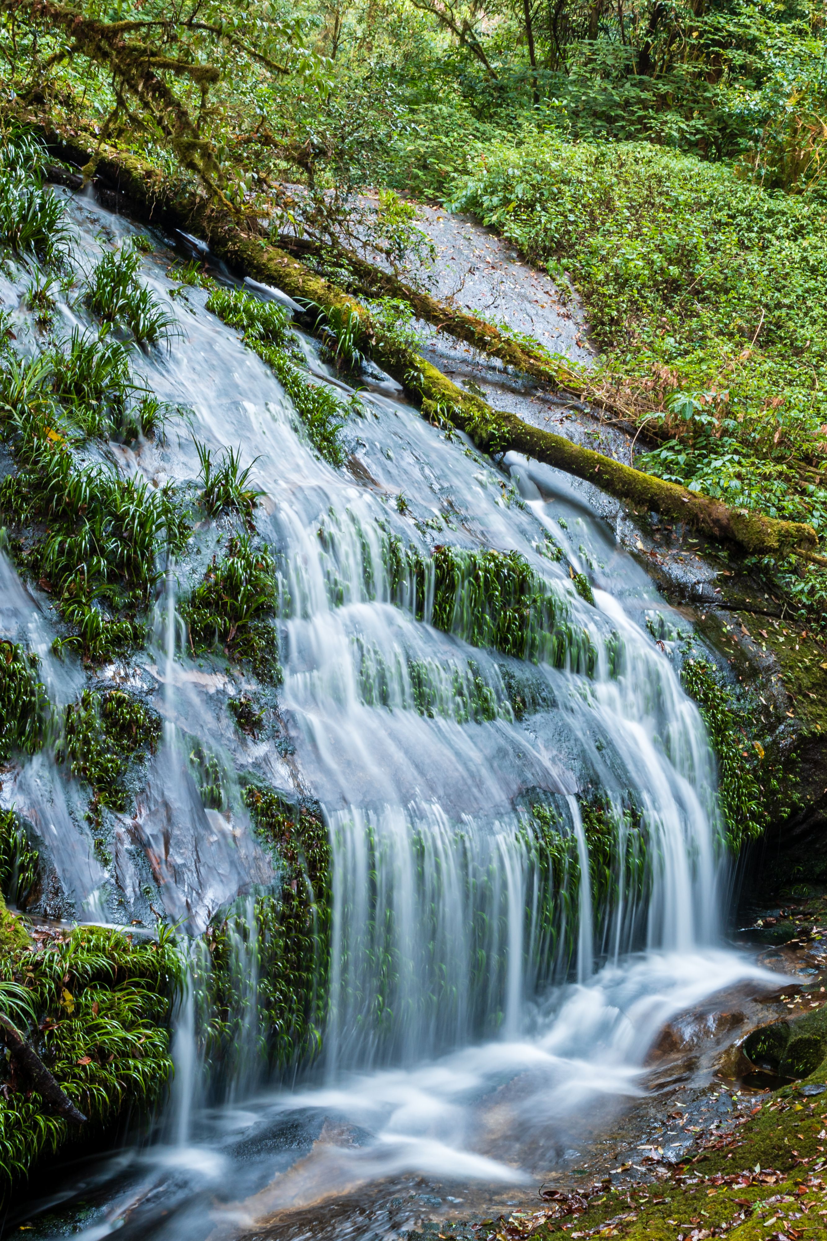 Waterfall of Kew Mae Pan Nature Trail, Chiangmai, Thailand · Free Stock ...