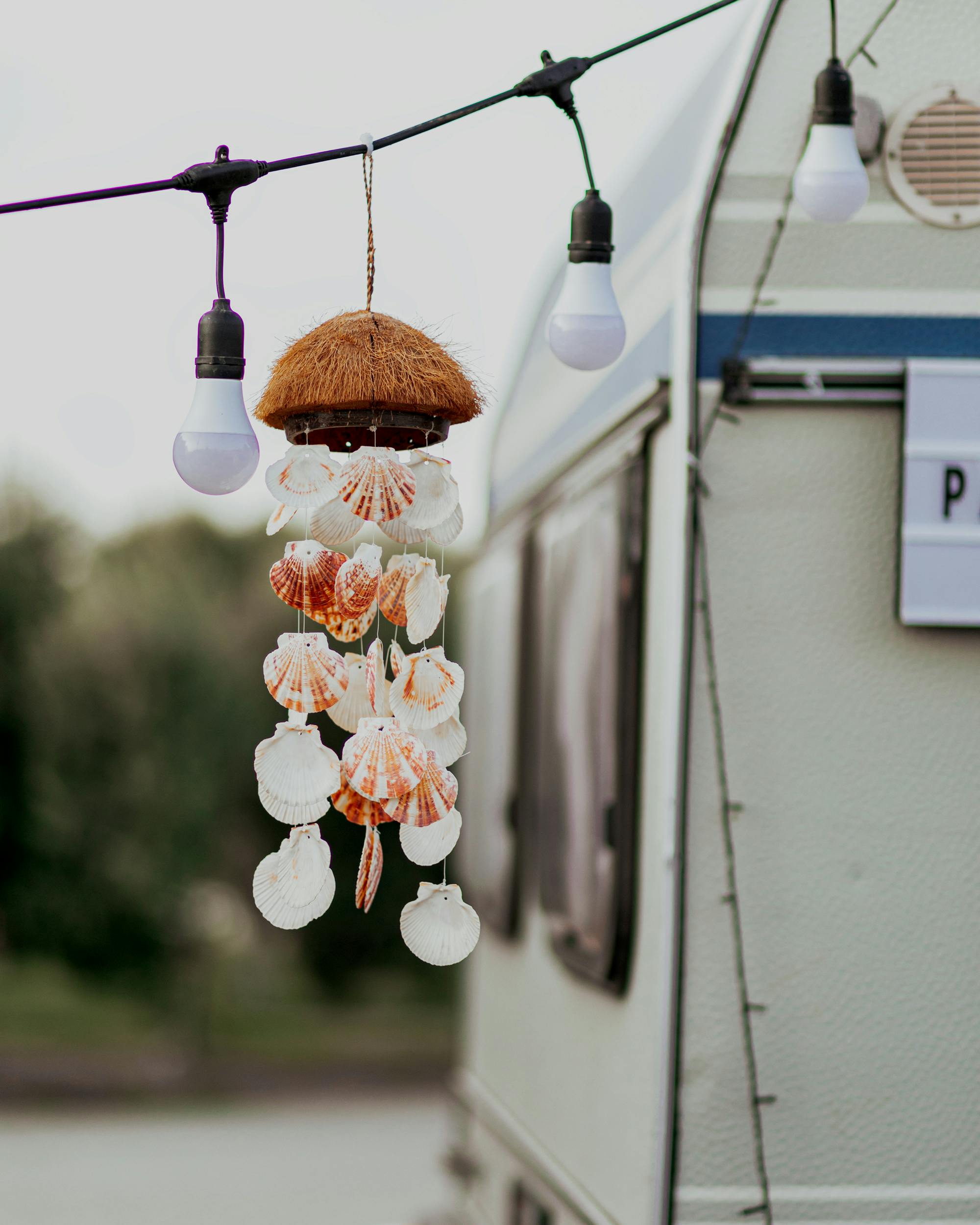 Seashells Hanging Beside the Wall · Free Stock Photo