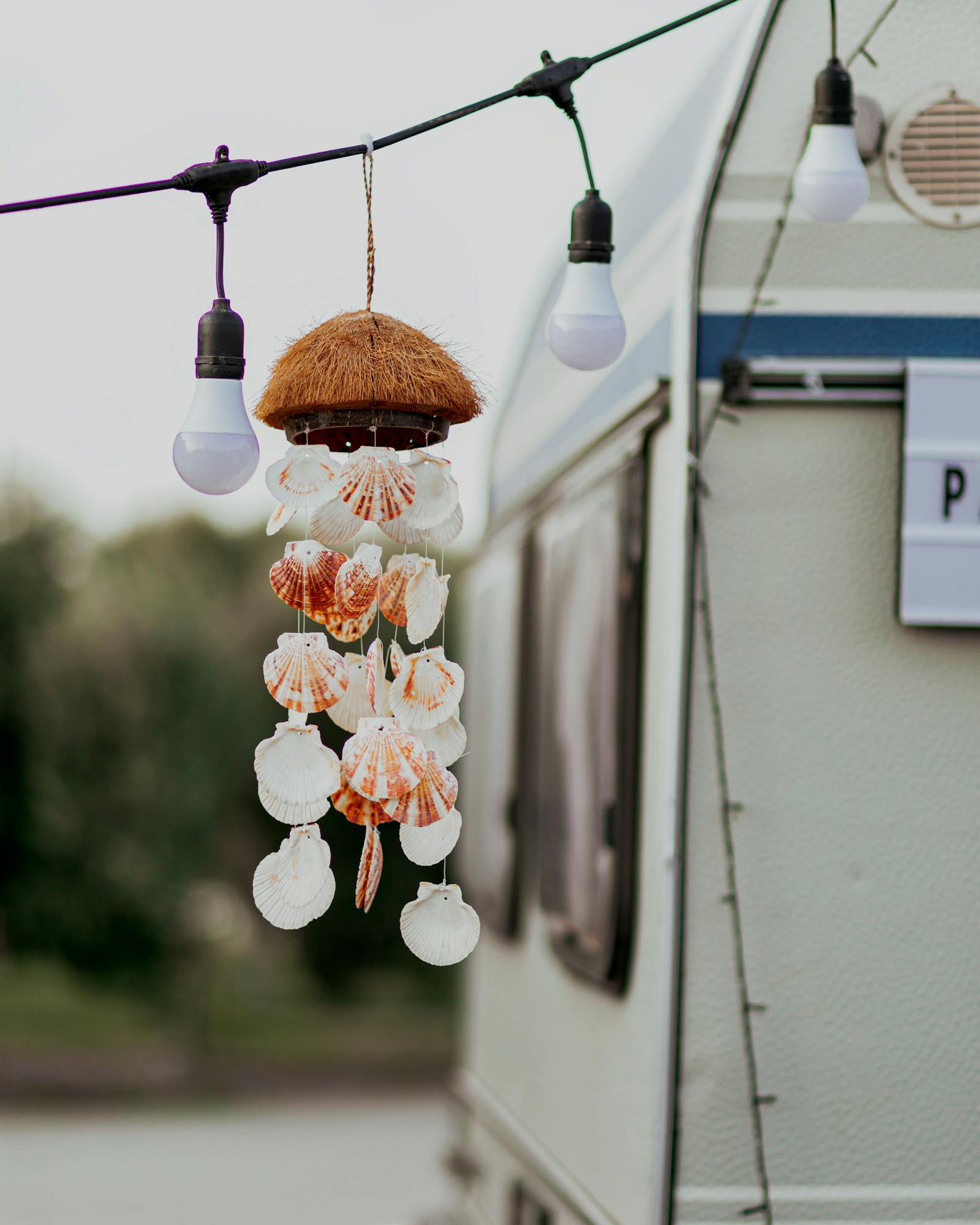 Hanging Sticks, Shells Hanging Photos, Download The BEST Free Hanging ...