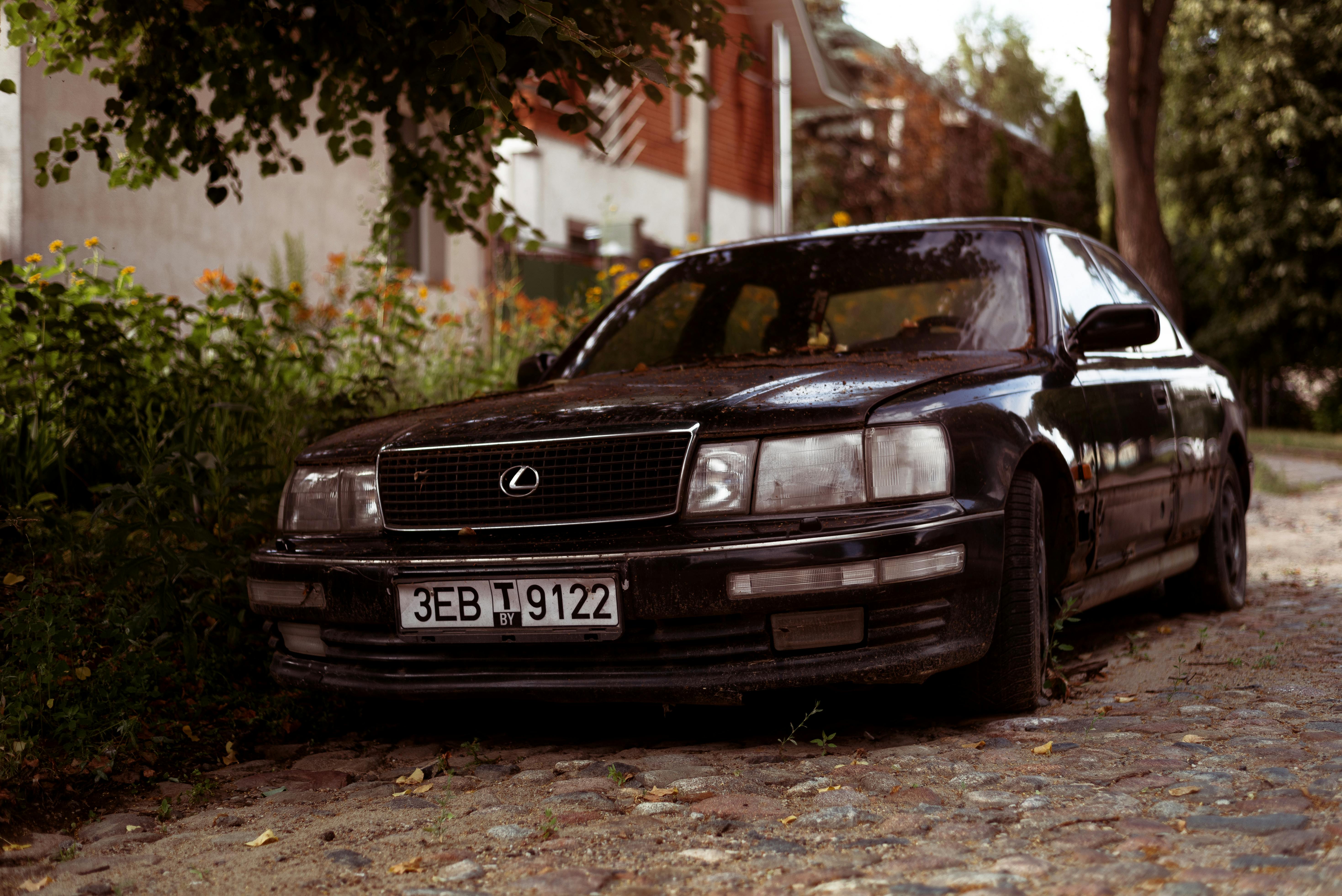 Ls Photos, Download The BEST Free Ls Stock Photos & HD Images