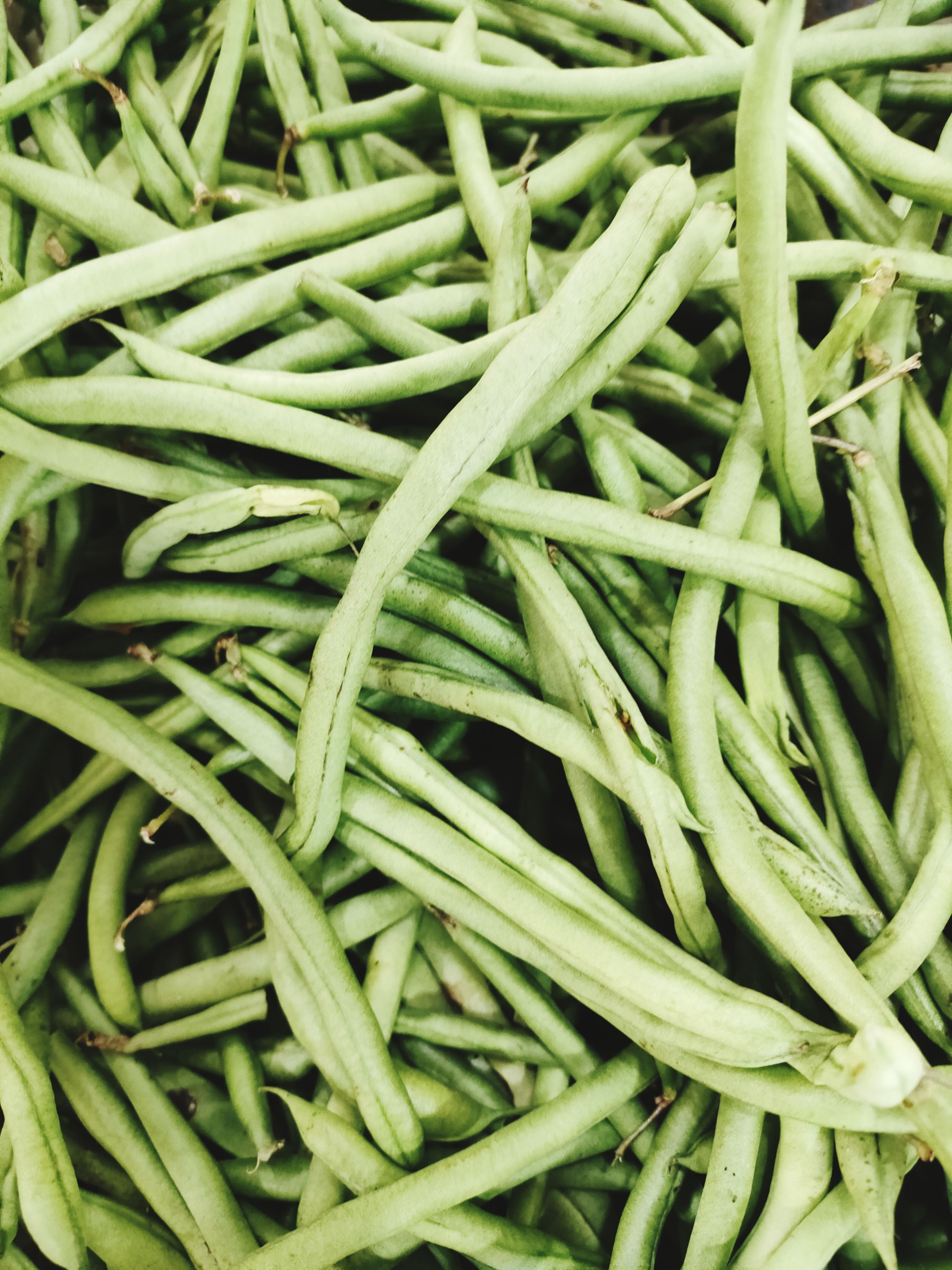 Close-up Photo of Raw Green Beans · Free Stock Photo
