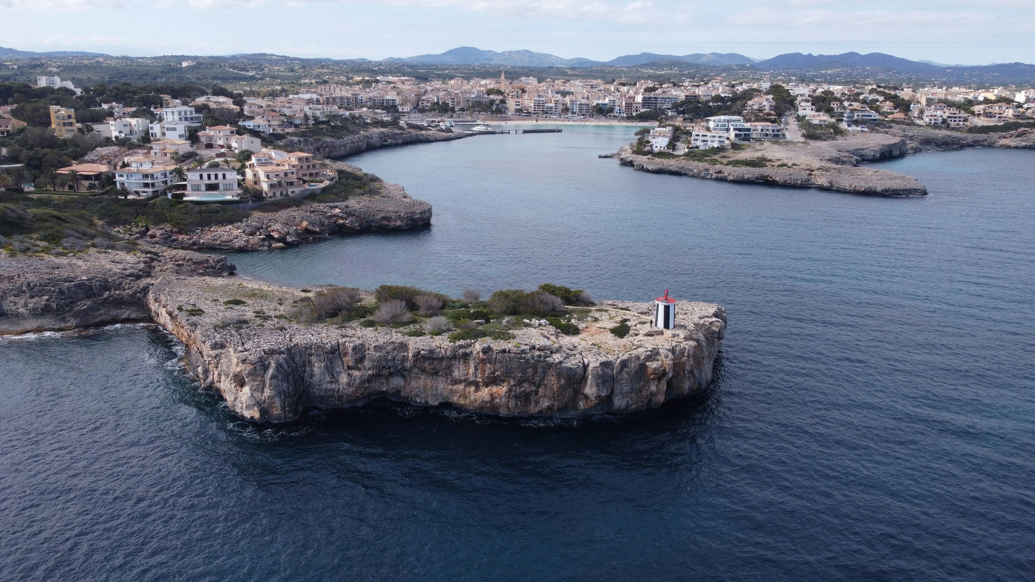 Daun Es Photos, Download The BEST Free Daun Es Stock Photos & HD Images