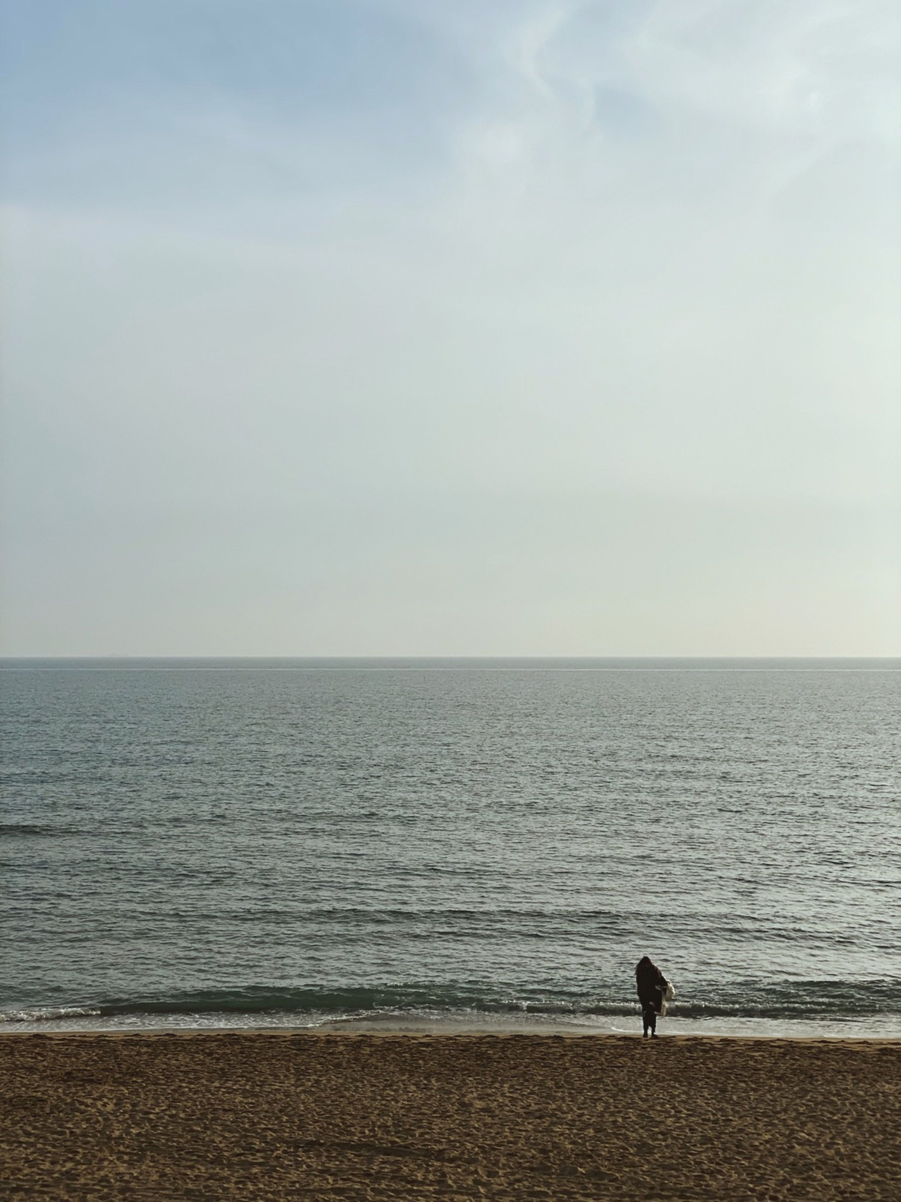 Man Holding Flower on Beach · Free Stock Photo