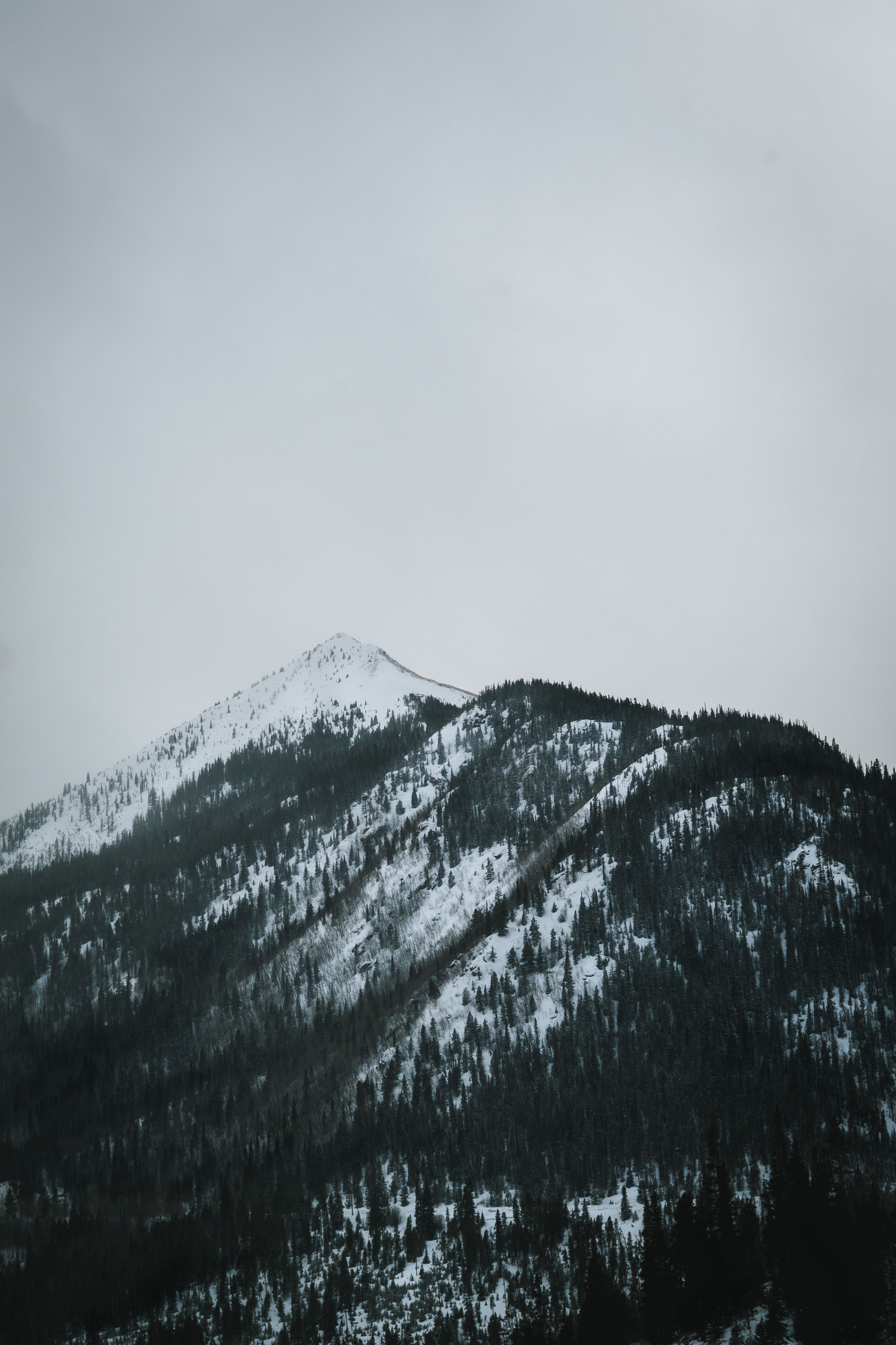 A Man Hiking on a Freezing Mountain Path · Free Stock Photo