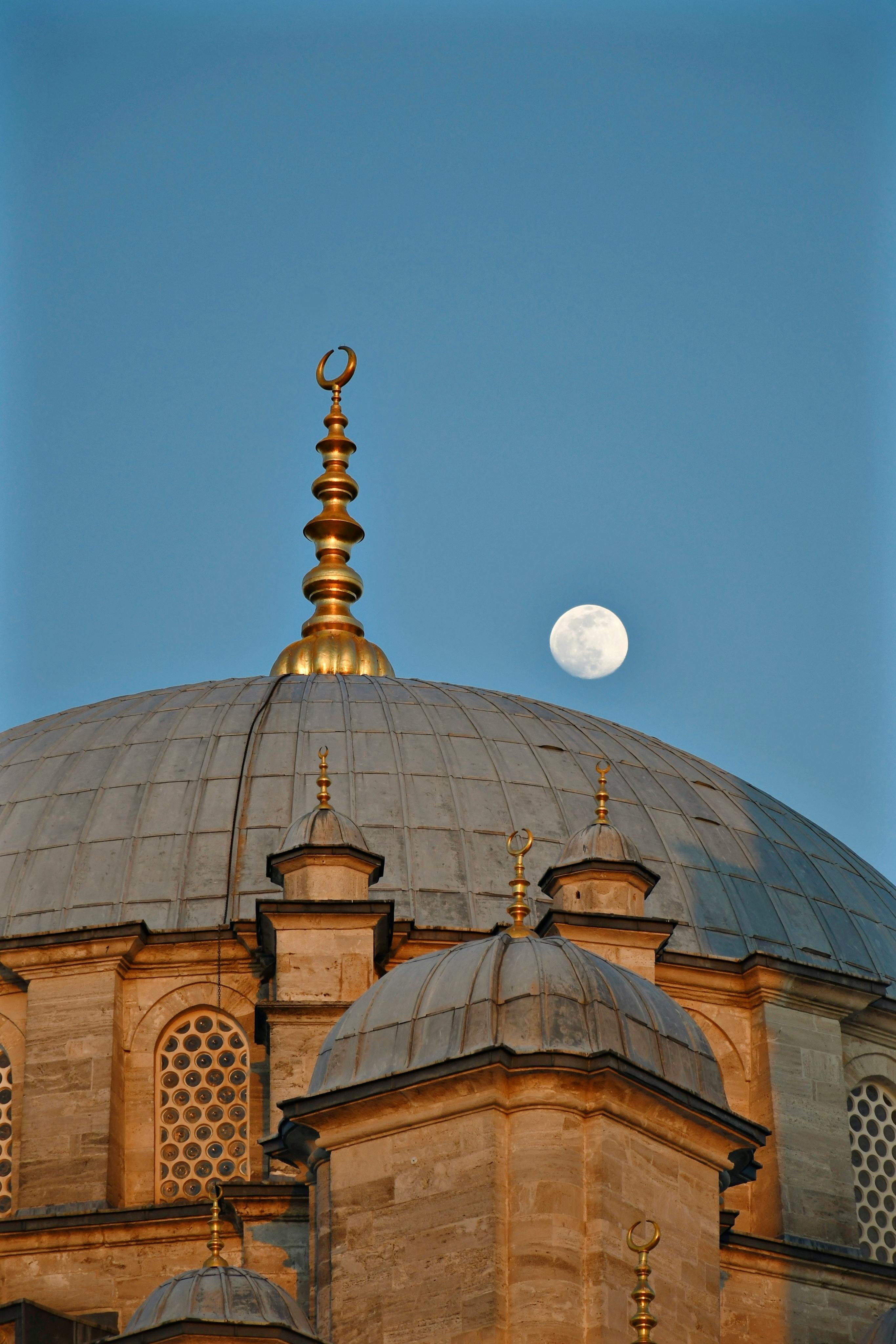 Conqueror Photos, Download The BEST Free Conqueror Stock Photos & HD Images