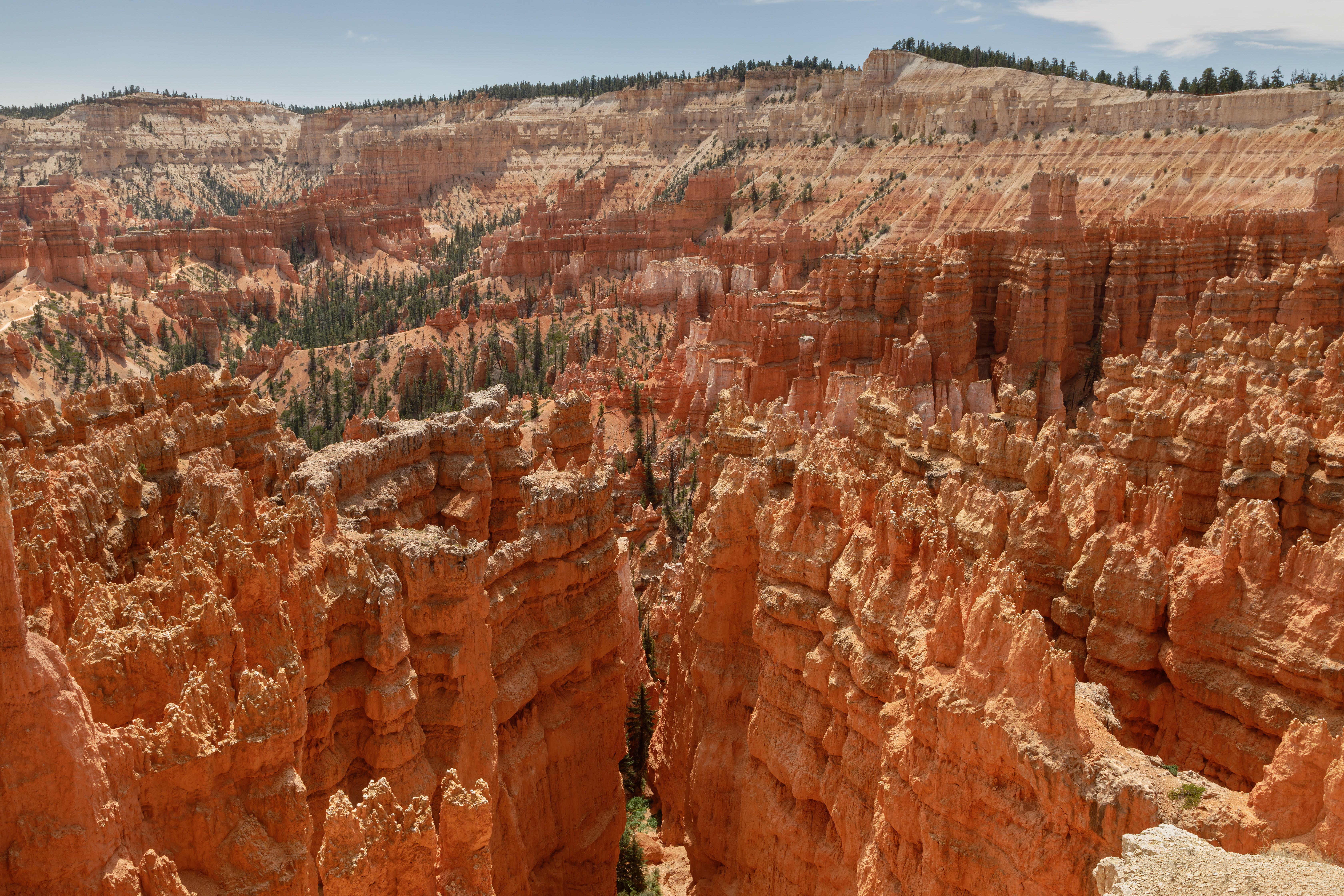 Hoodoos in Bryce Canyon National Park in Utah, USA · Free Stock Photo