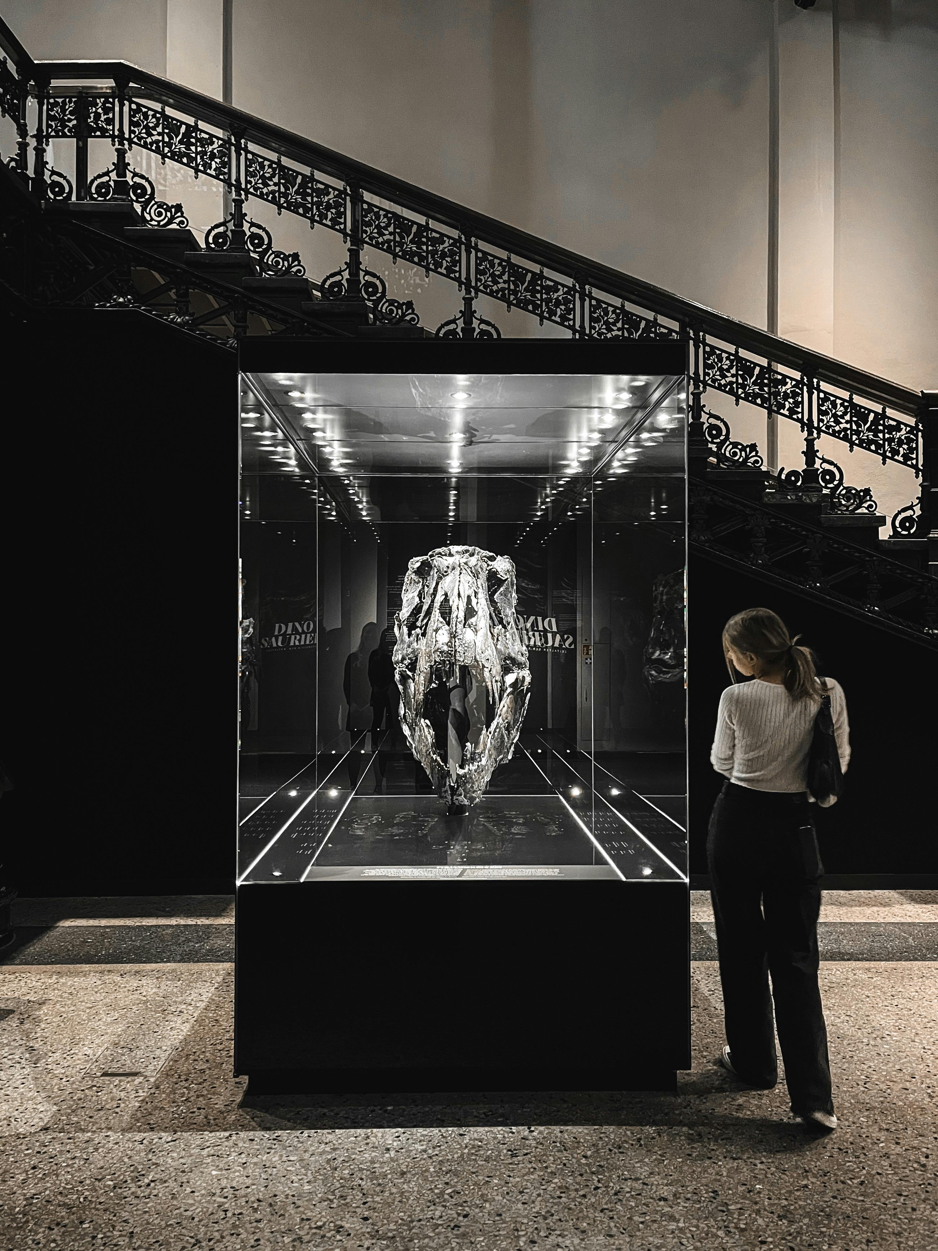 Woman on Exhibition in Museum · Free Stock Photo